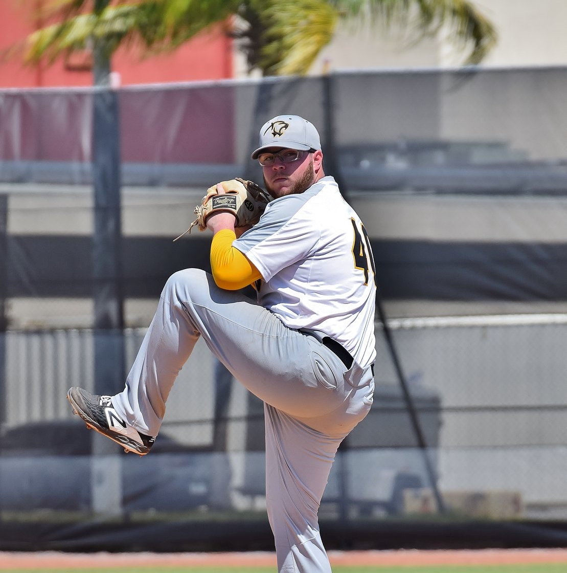 Michael Demarest - Baseball - Adelphi University Athletics