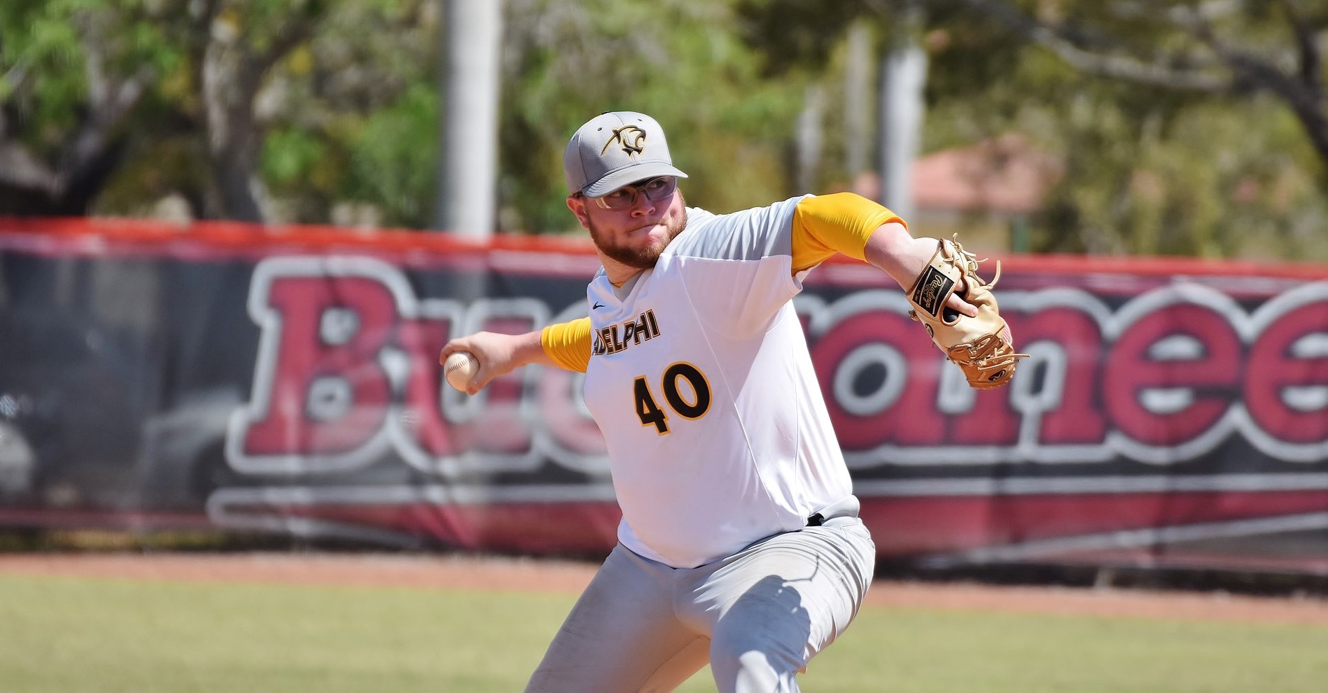 Michael Demarest - Baseball - Adelphi University Athletics