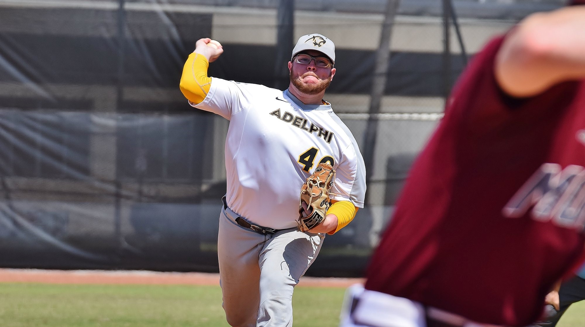 Michael Demarest - Baseball - Adelphi University Athletics