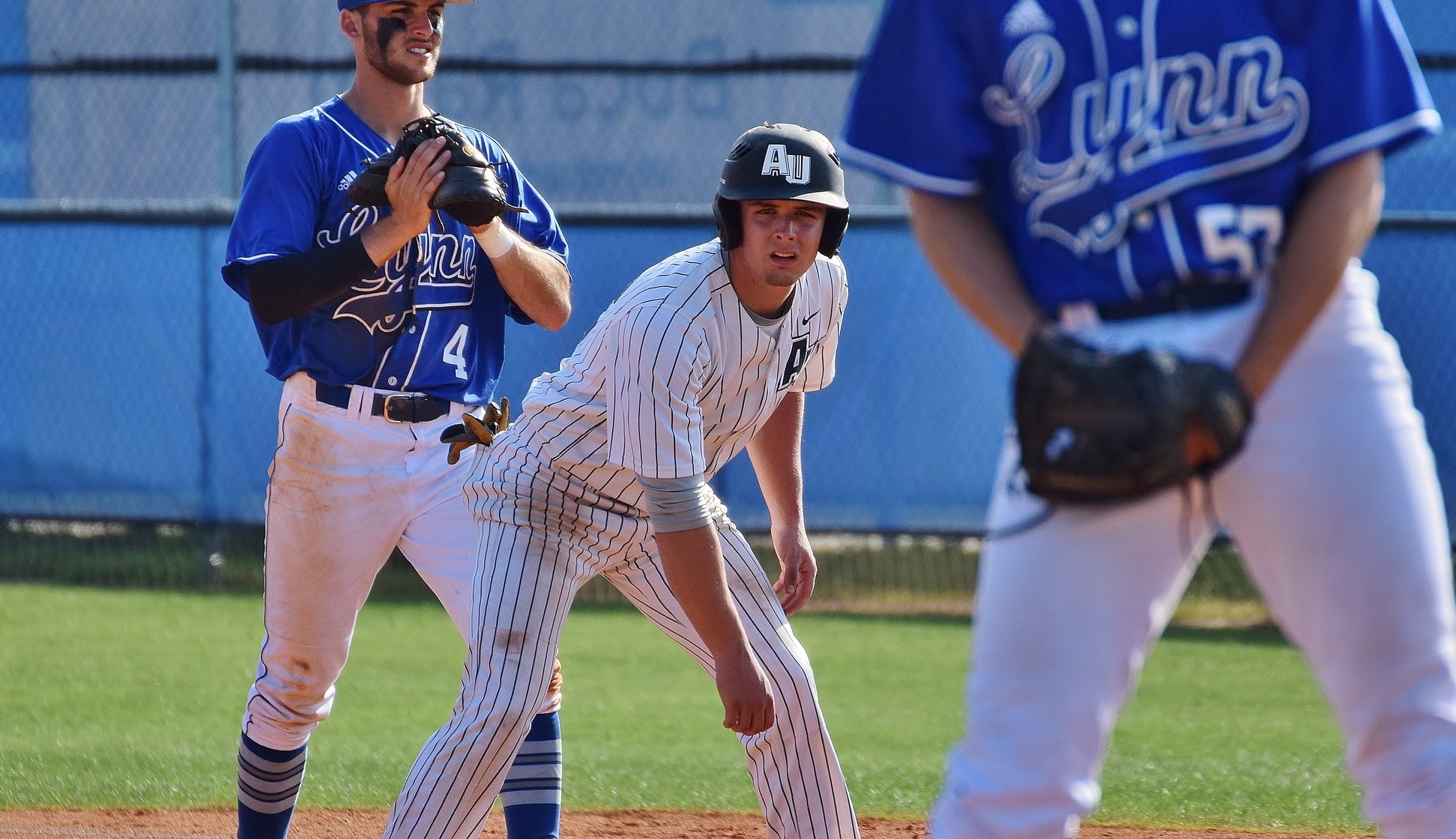 Michael Cattani - Baseball - Adelphi University Athletics