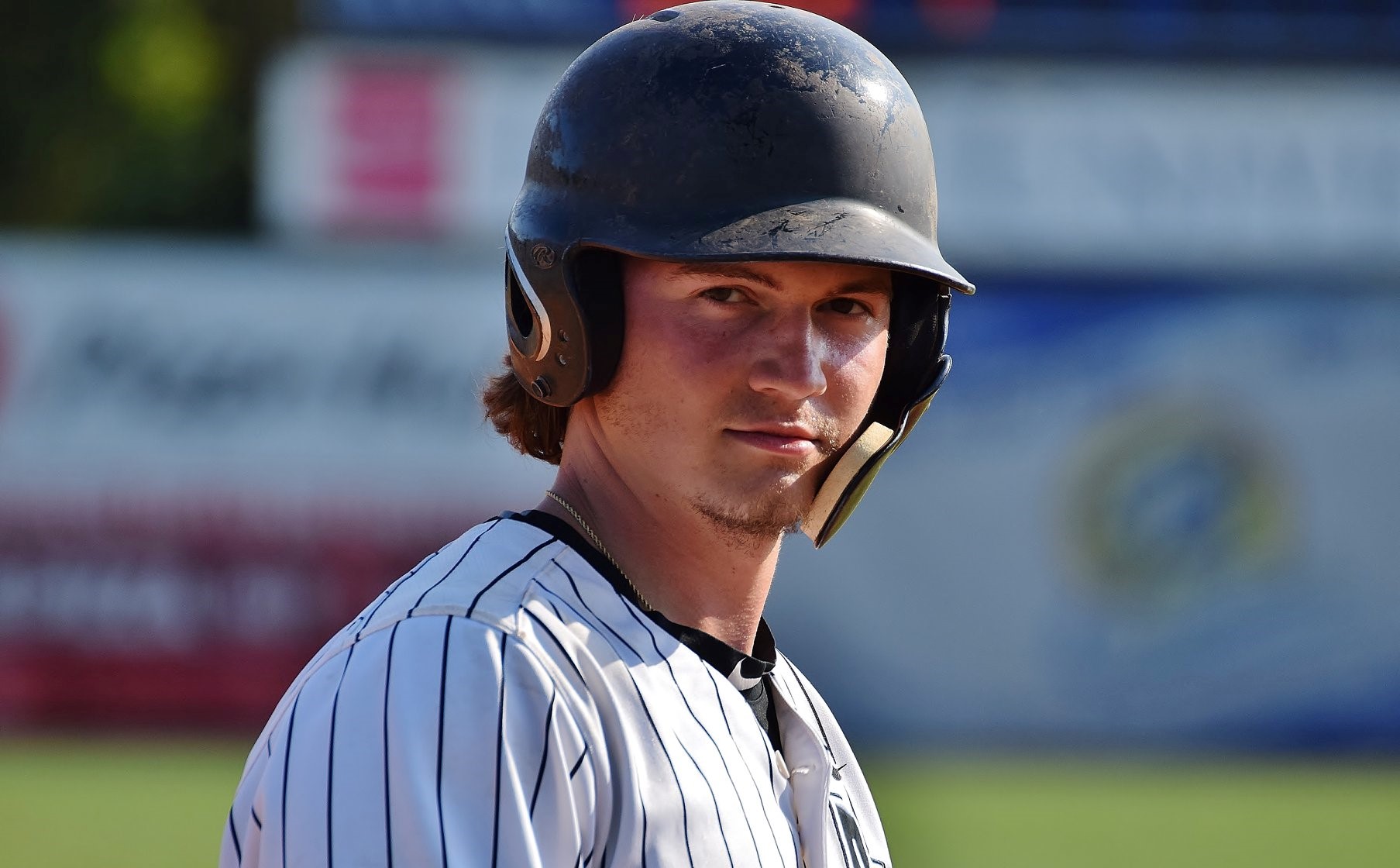 Brett Malm - Baseball - Adelphi University Athletics