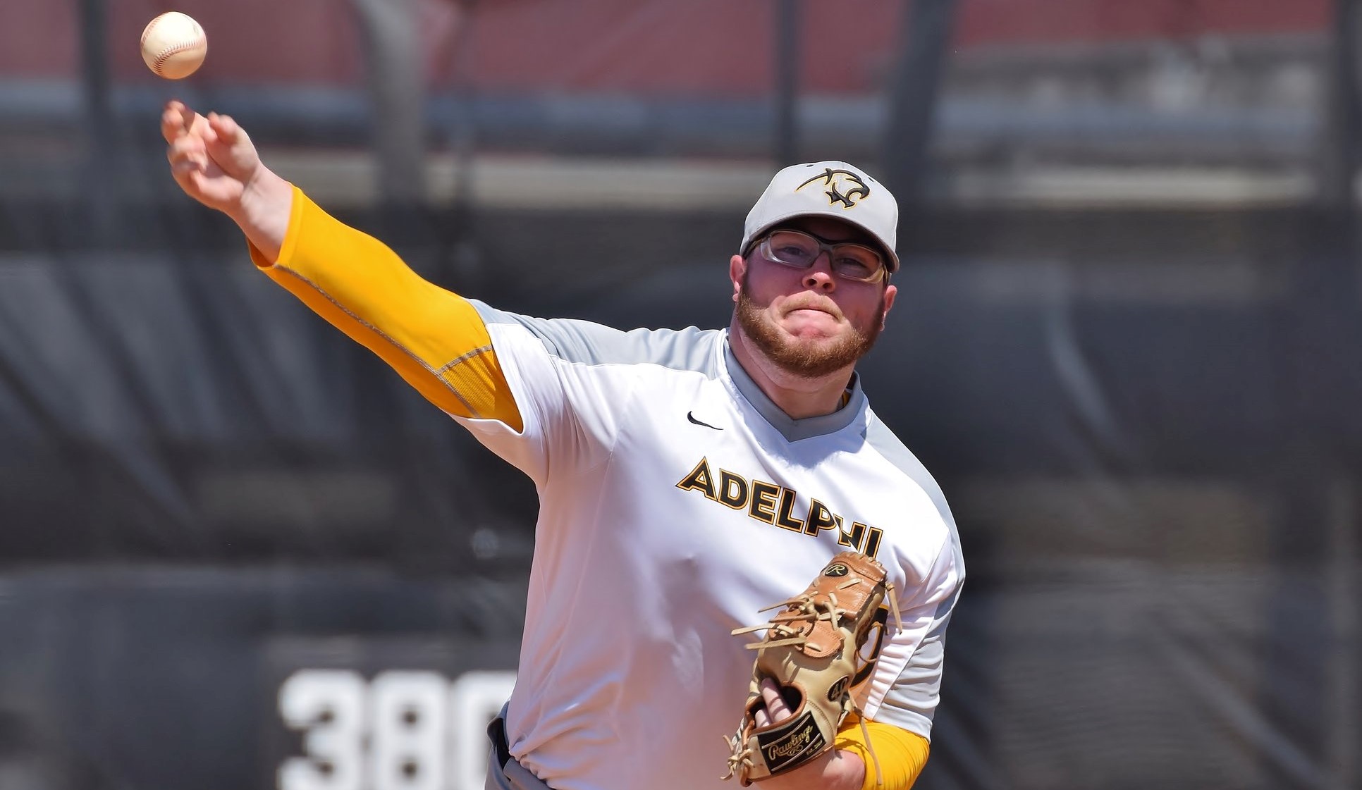Michael Demarest - Baseball - Adelphi University Athletics