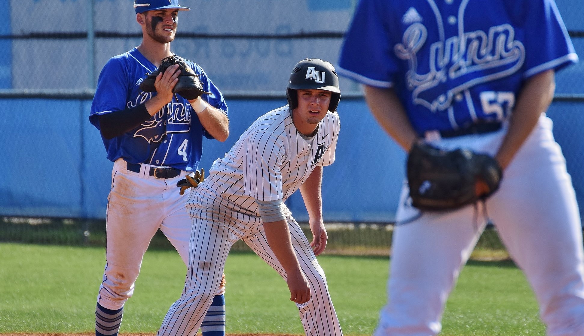 Michael Cattani - Baseball - Adelphi University Athletics