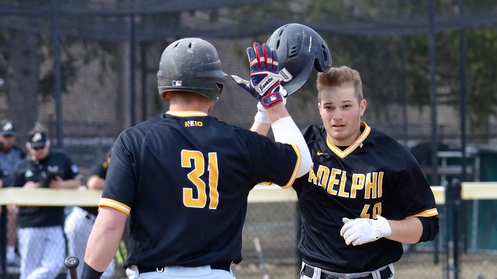 Thomas Colombo - Baseball - Adelphi University Athletics