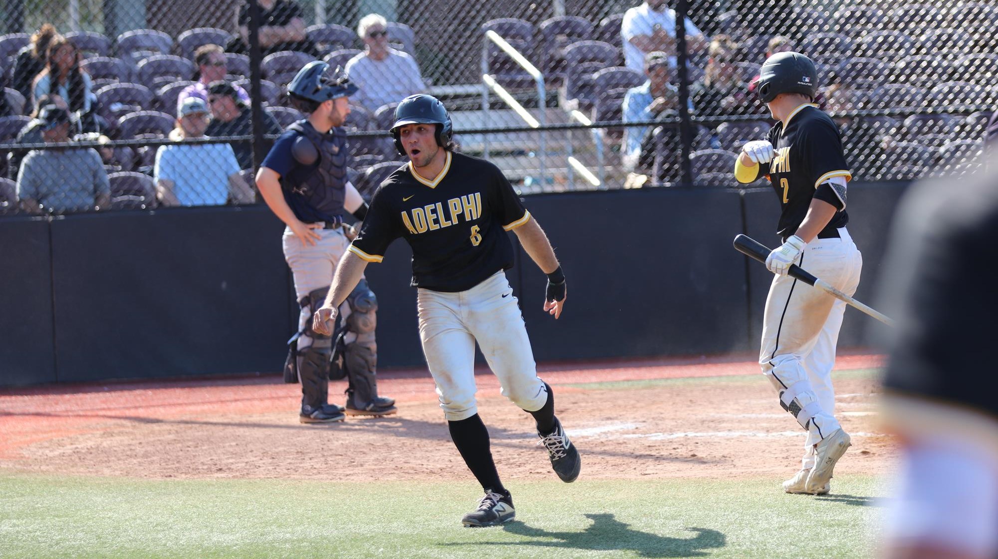 Jonathan Iadevaia - Baseball - Adelphi University Athletics