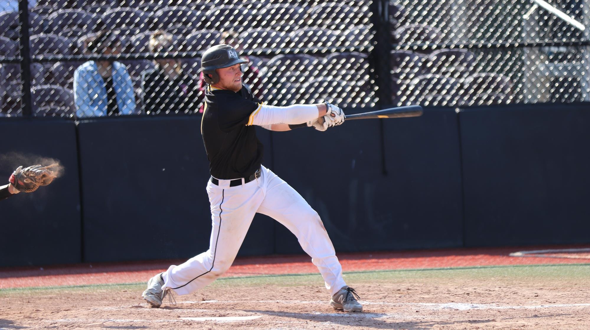 Lucas Terwilliger - Baseball - Adelphi University Athletics