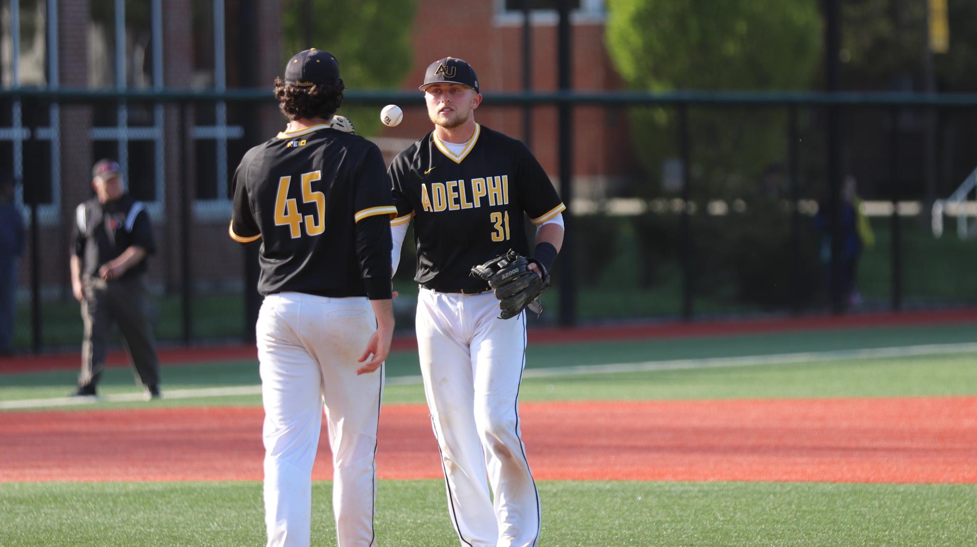 Lucas Terwilliger - Baseball - Adelphi University Athletics
