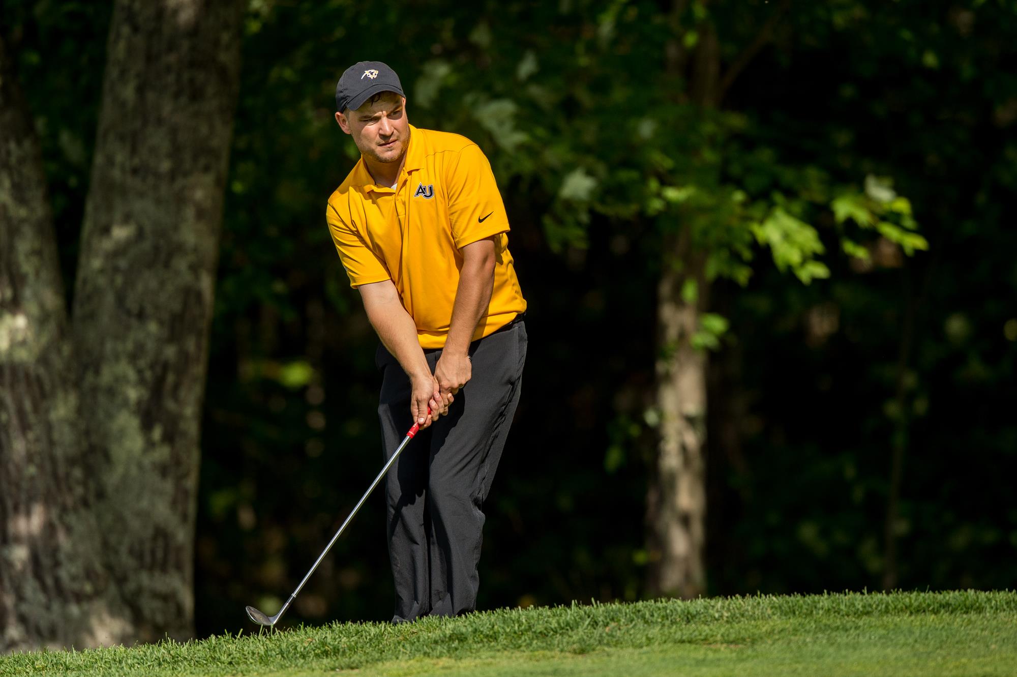 Thomas Lovgren - Men's Golf - Adelphi University Athletics