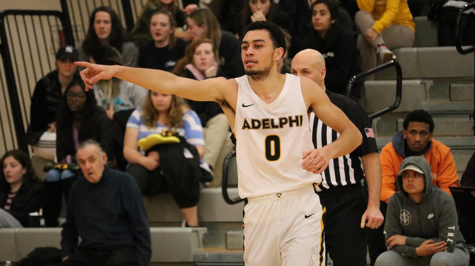 Austin Beech - Men's Basketball - Adelphi University Athletics