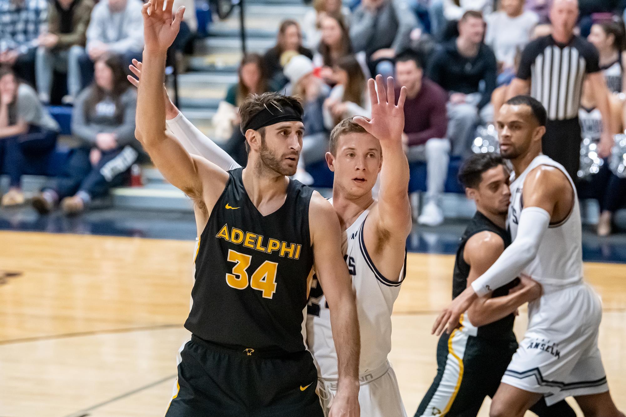 Tim Delaney - Men's Basketball - Adelphi University Athletics