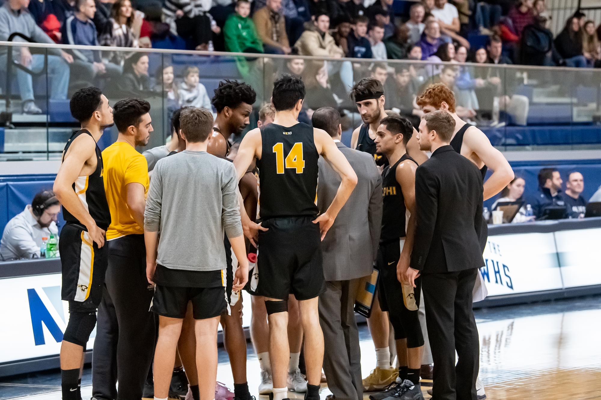 Adonis Williams - Men's Basketball - Adelphi University Athletics