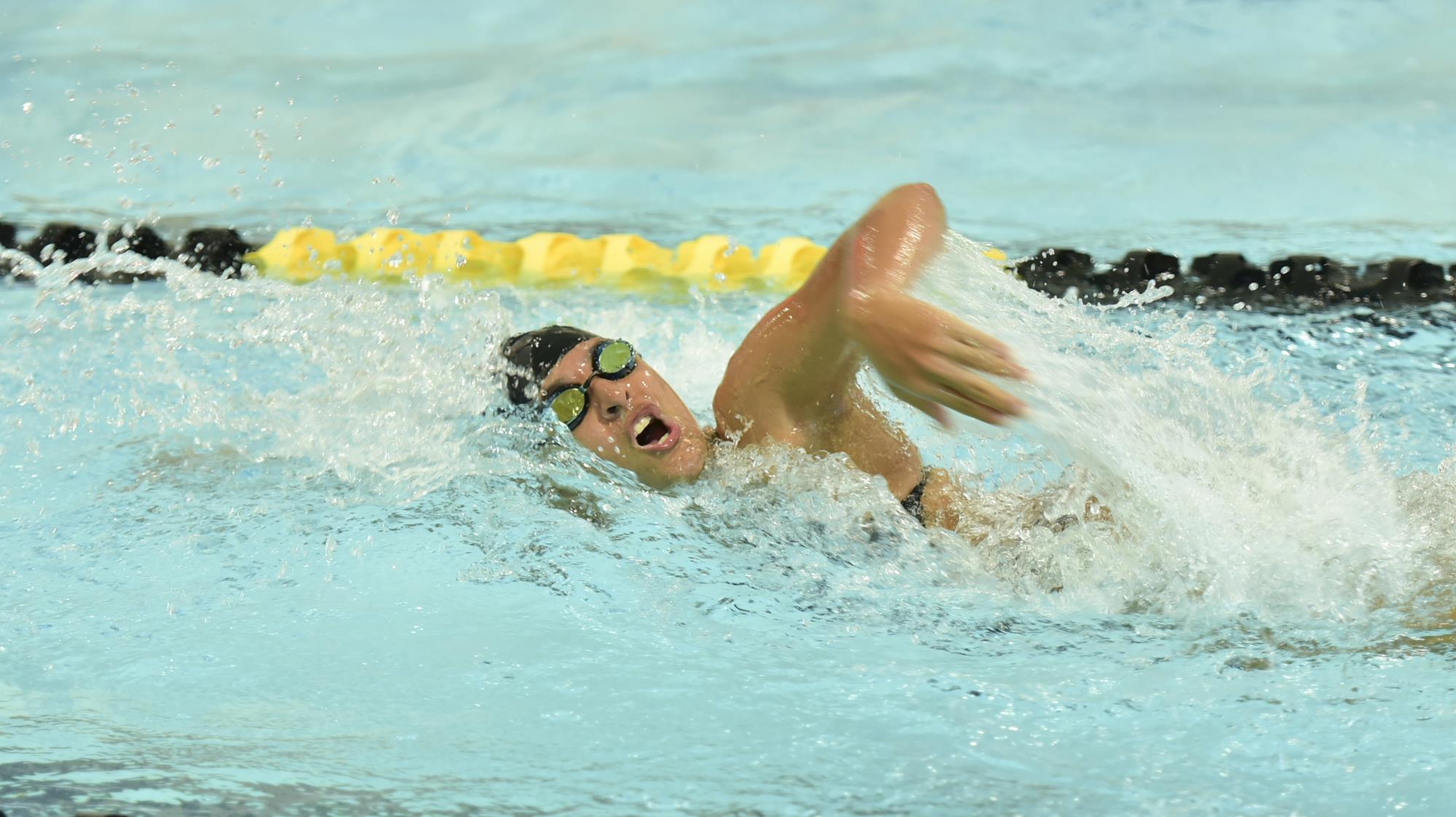 Jeshley Jimenez - Swimming and Diving - Adelphi University Athletics