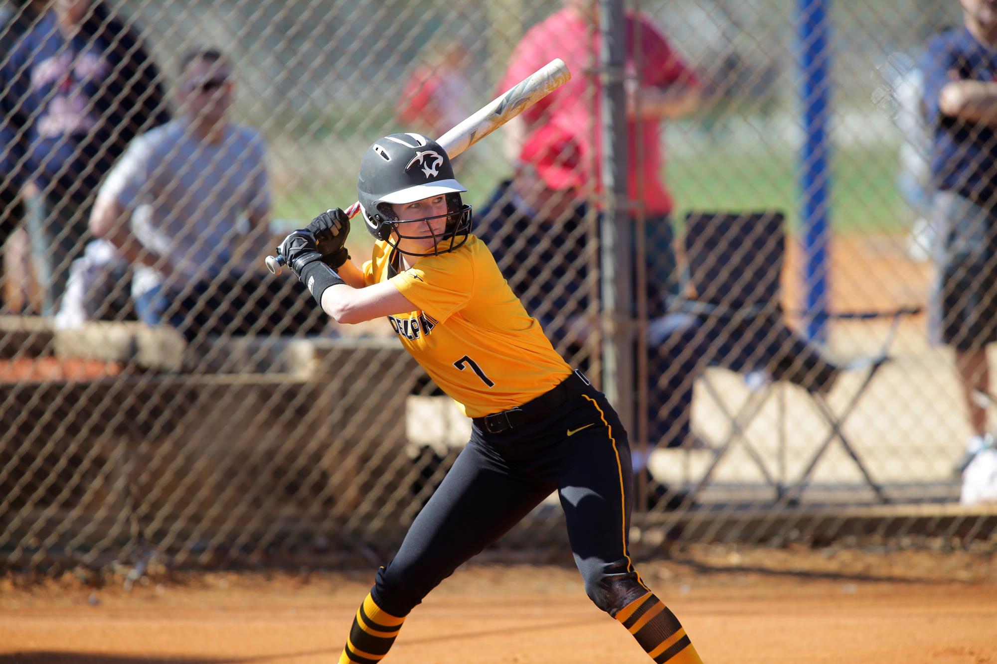 Allie Laird - Softball - Adelphi University Athletics