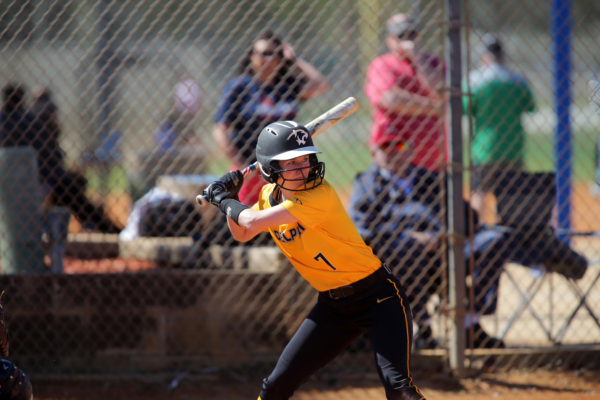 Allie Laird - Softball - Adelphi University Athletics