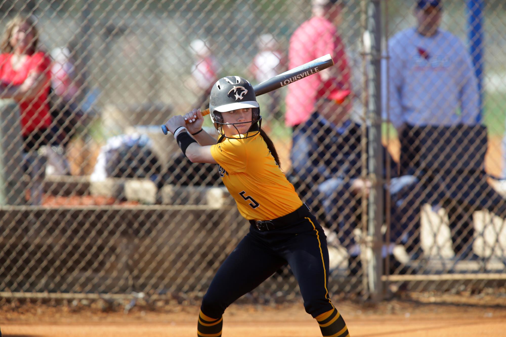 Megan Sneeden - Softball - Adelphi University Athletics