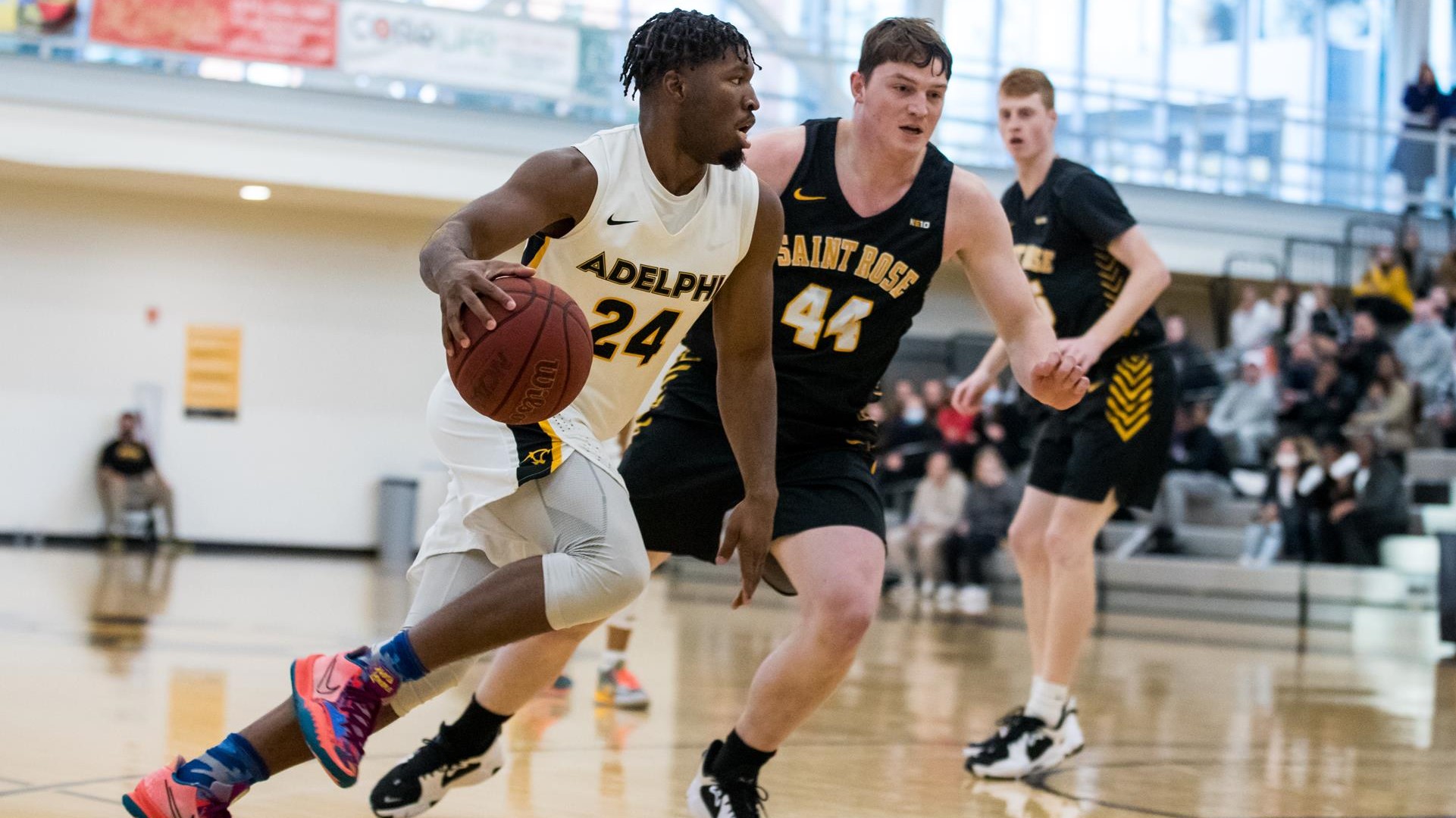 Adonis Williams - Men's Basketball - Adelphi University Athletics