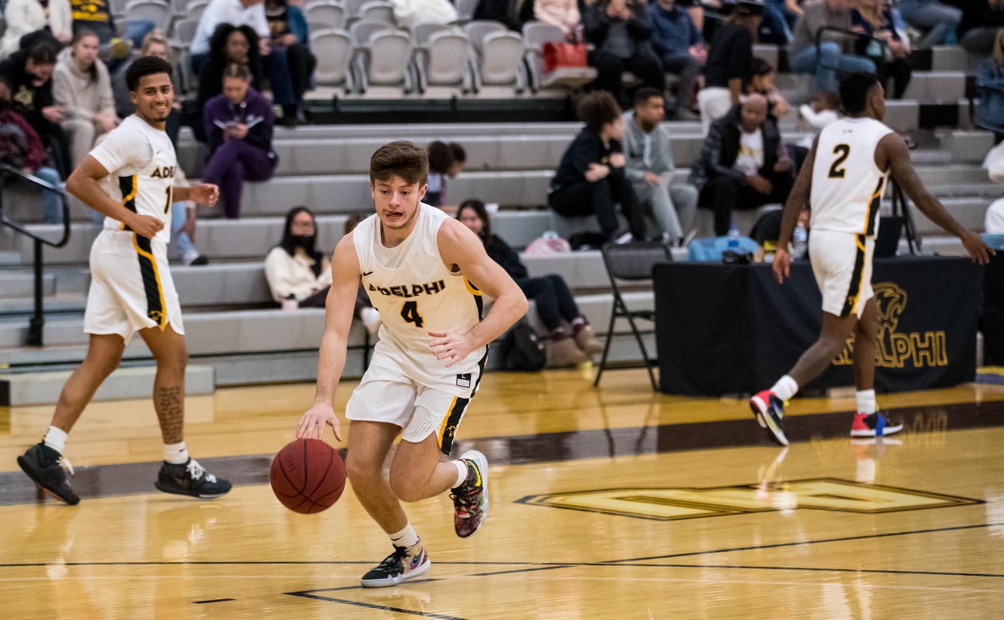 Zachary Feingold - Men's Basketball - Adelphi University Athletics