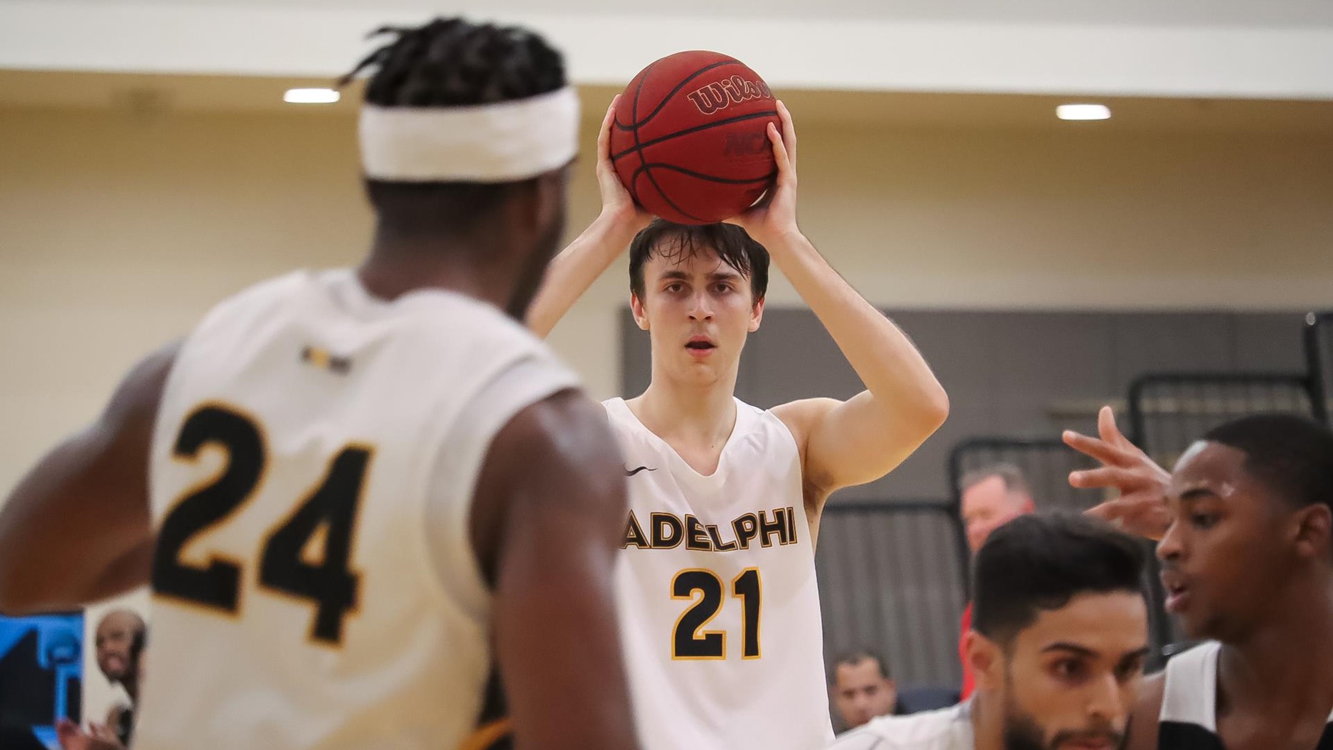 Aristotelis Sotiriou - Men's Basketball - Adelphi University Athletics