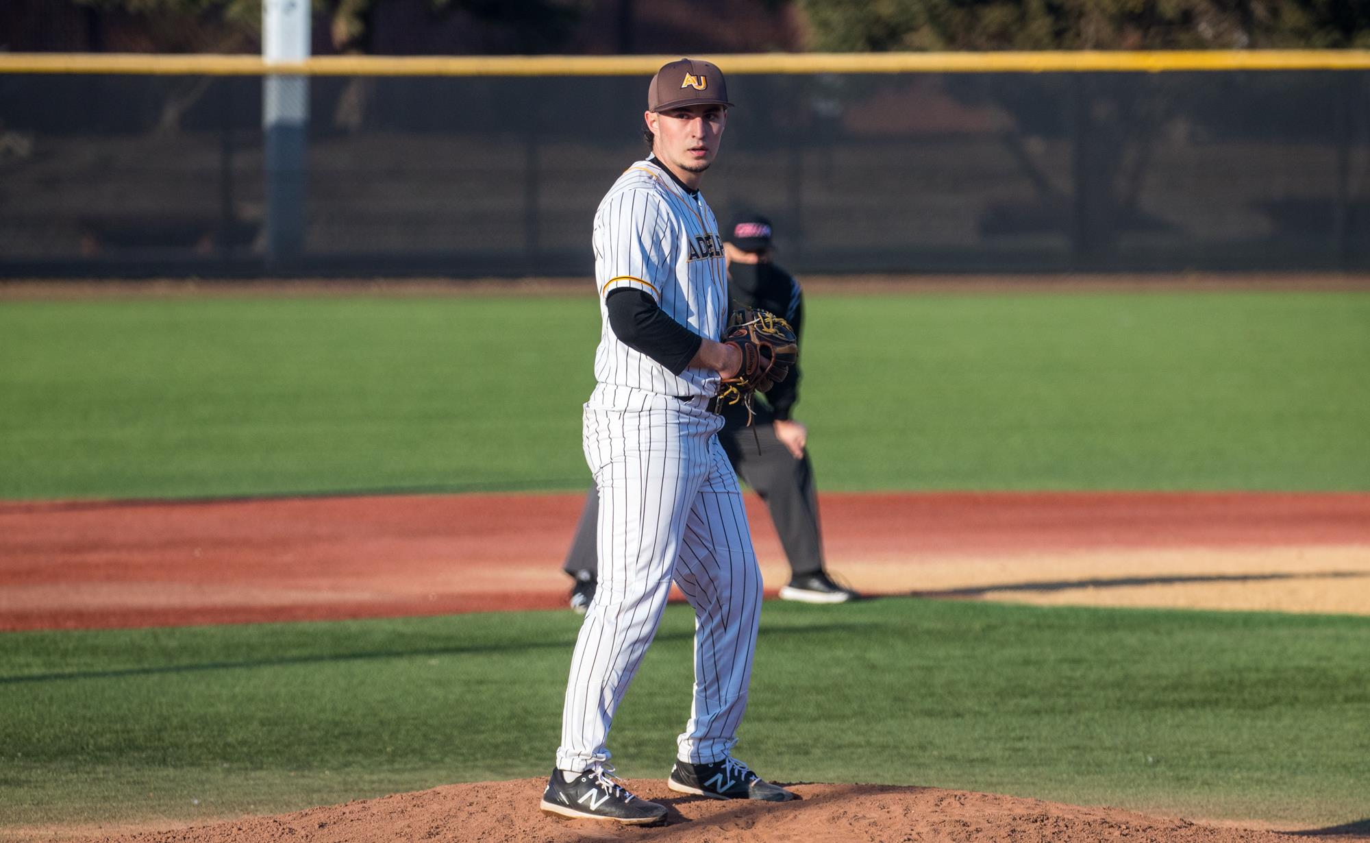 Steven Murphy - Baseball - Adelphi University Athletics