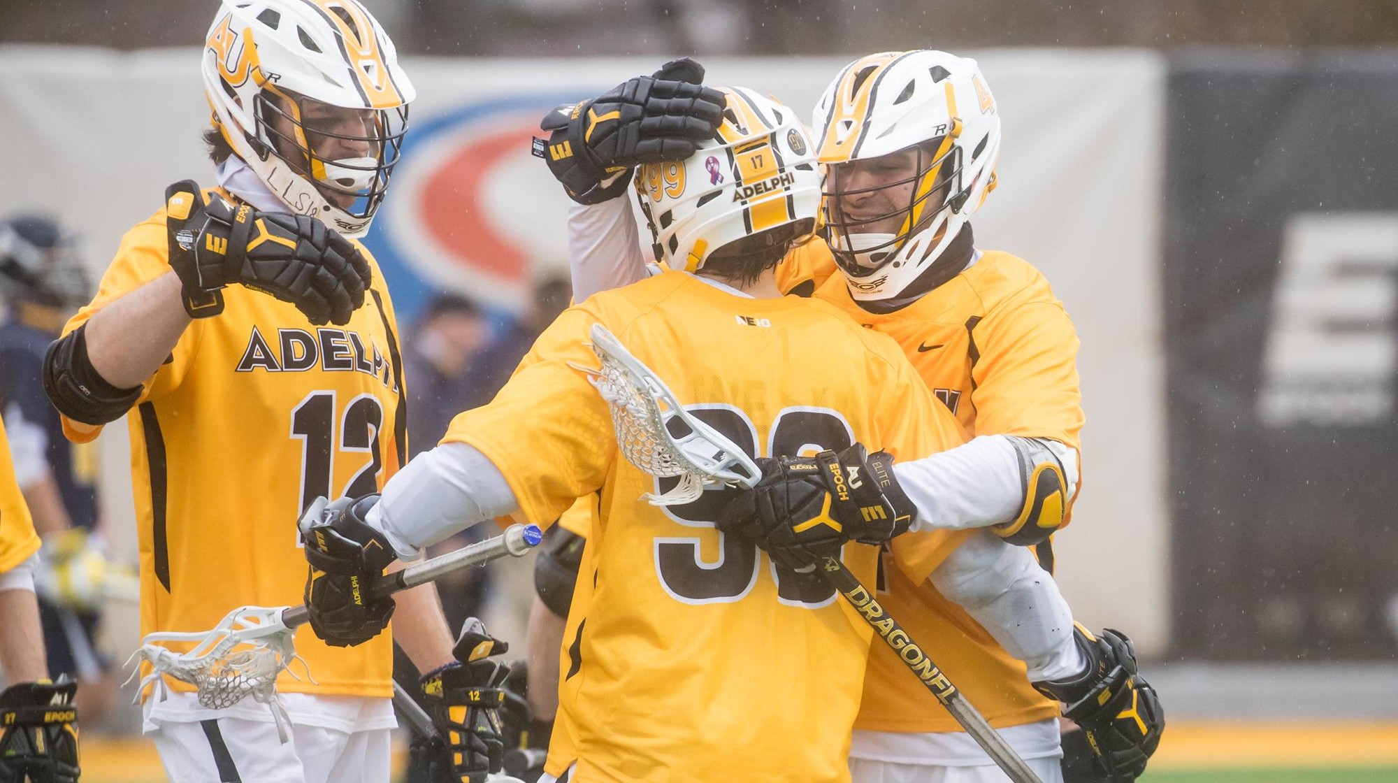 James Bifulco - Men's Lacrosse - Adelphi University Athletics