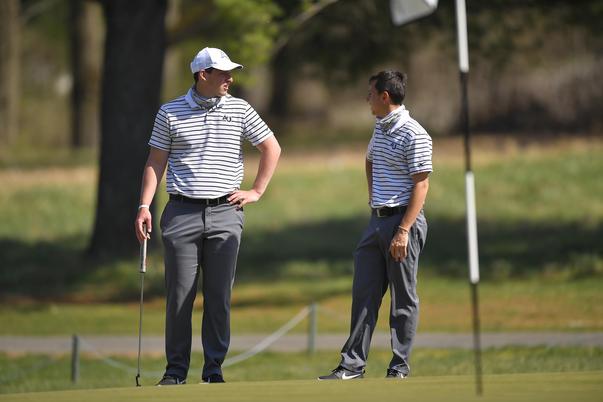 Nicholas MacLean - Men's Golf - Adelphi University Athletics