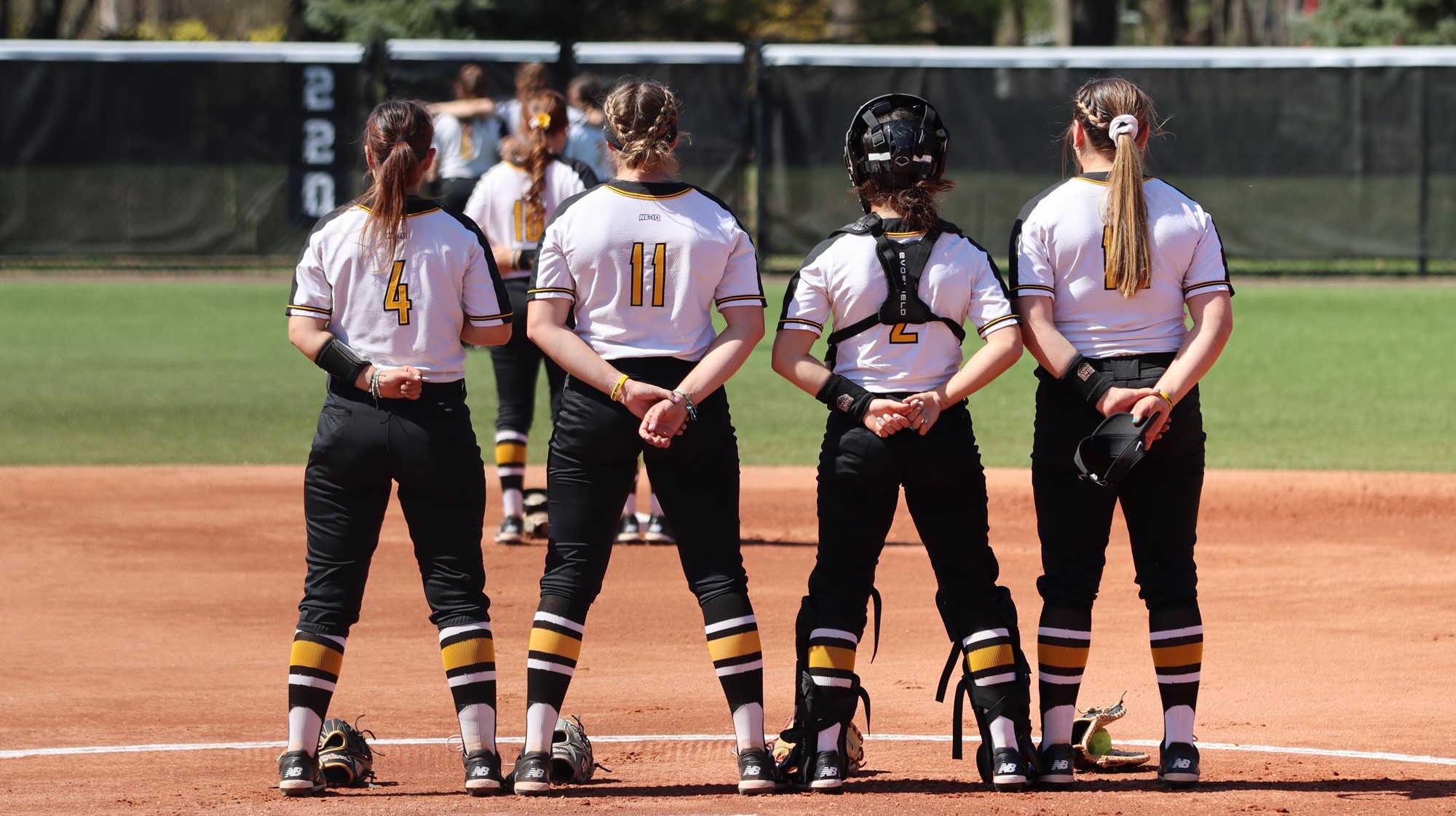 Ally Muller - Softball - Adelphi University Athletics