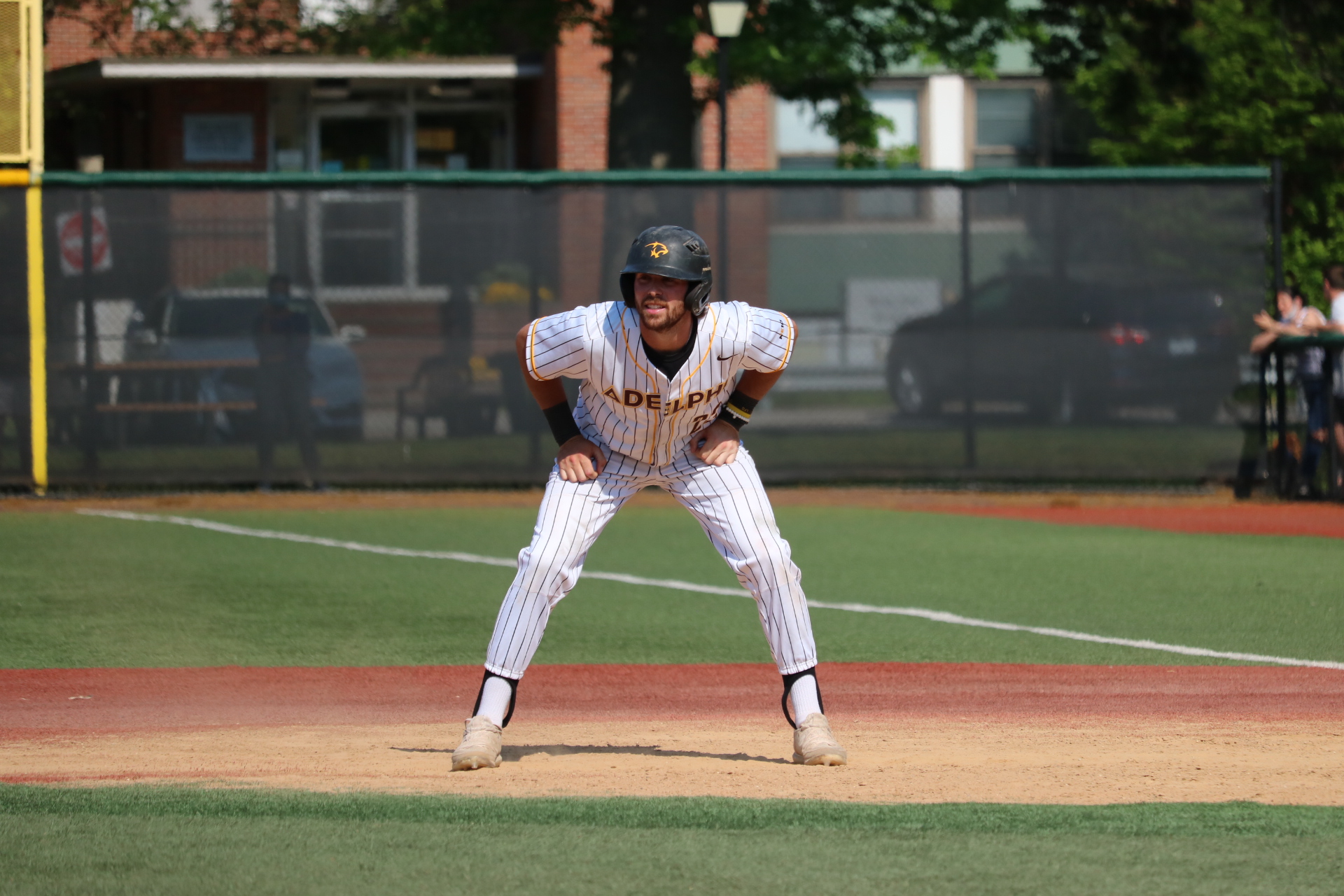 Tyler Becker - Baseball - Adelphi University Athletics