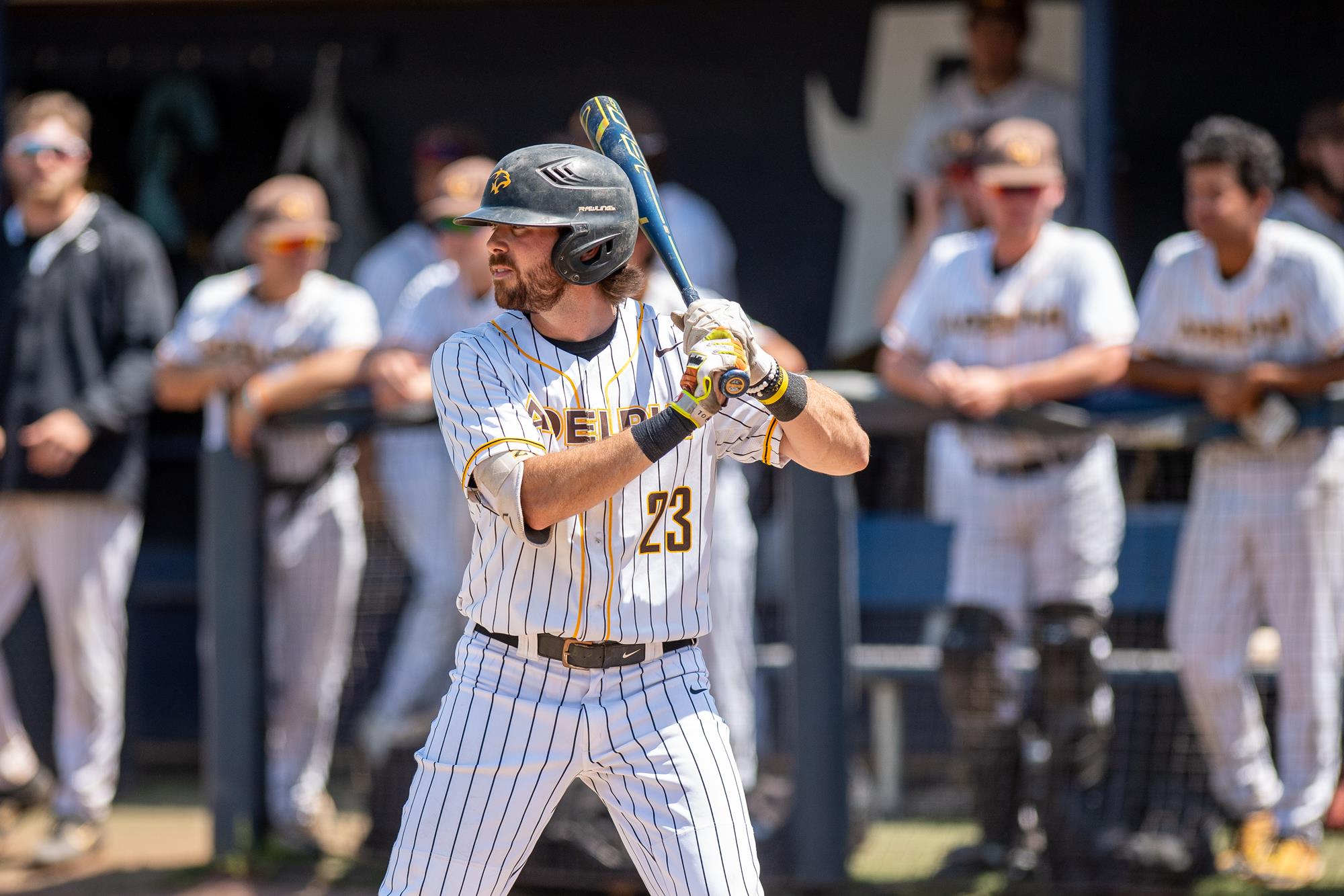 Tyler Becker - Baseball - Adelphi University Athletics