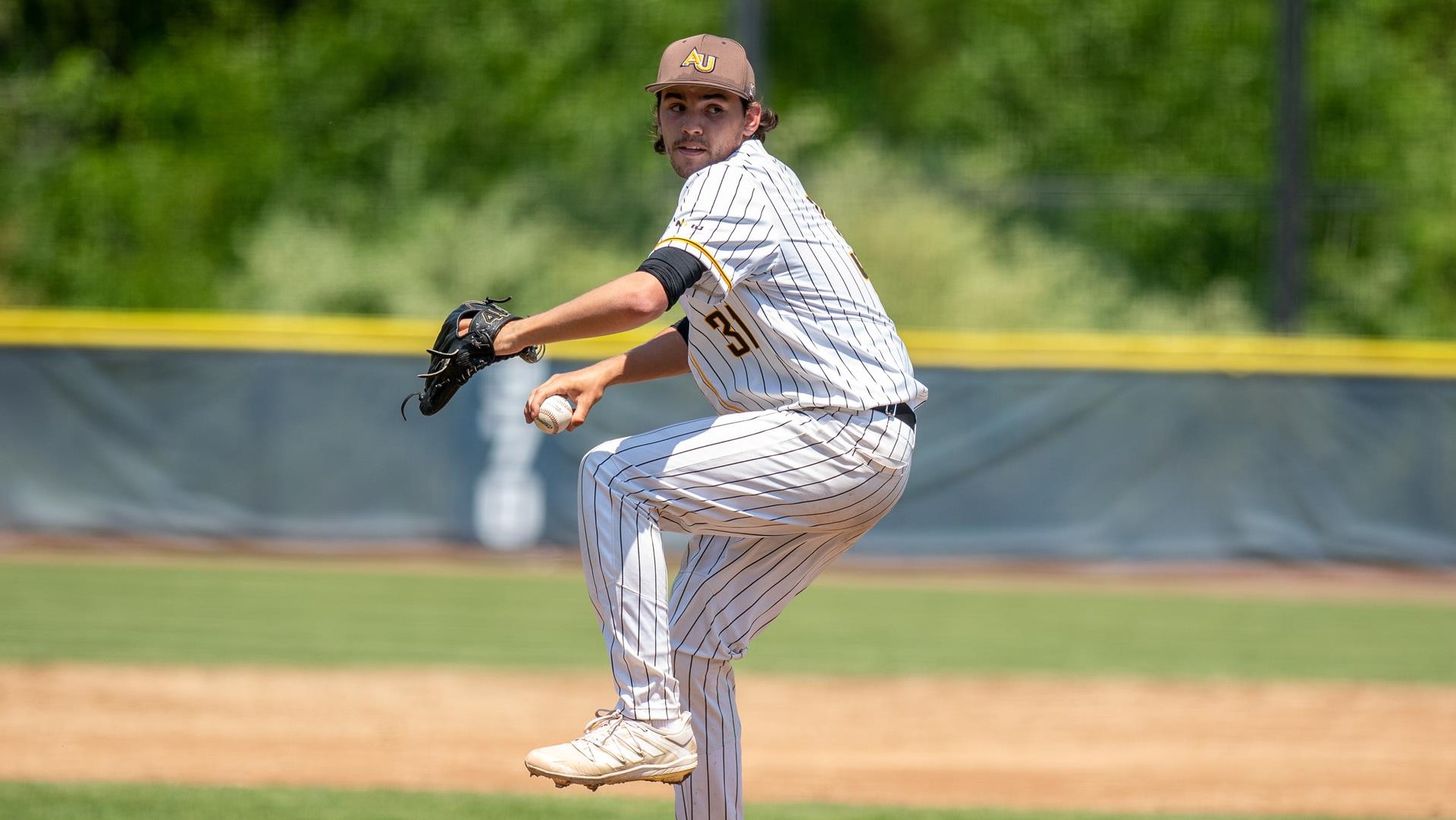 Andrew Williams - Baseball - Adelphi University Athletics