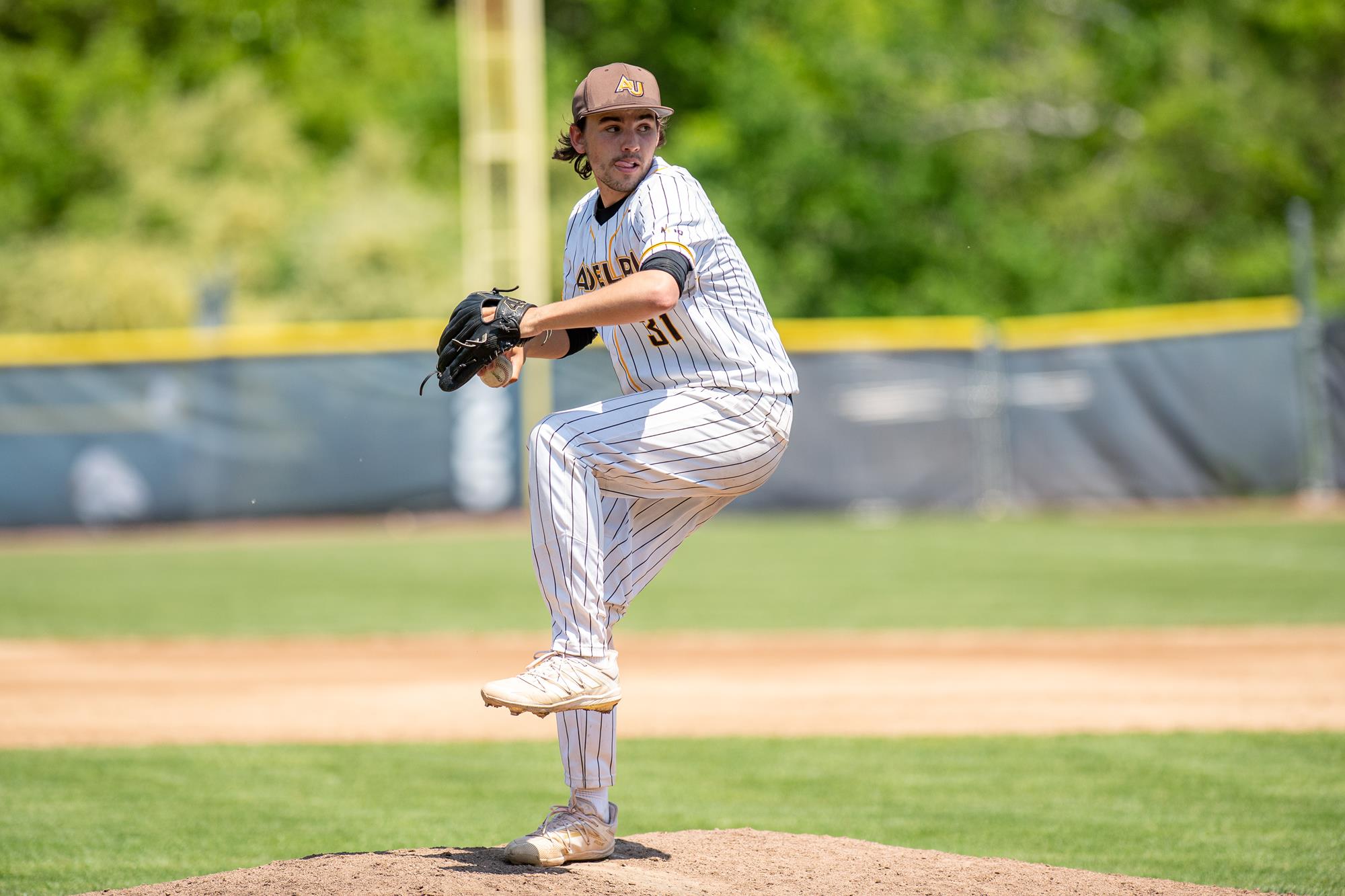 Andrew Williams - Baseball - Adelphi University Athletics