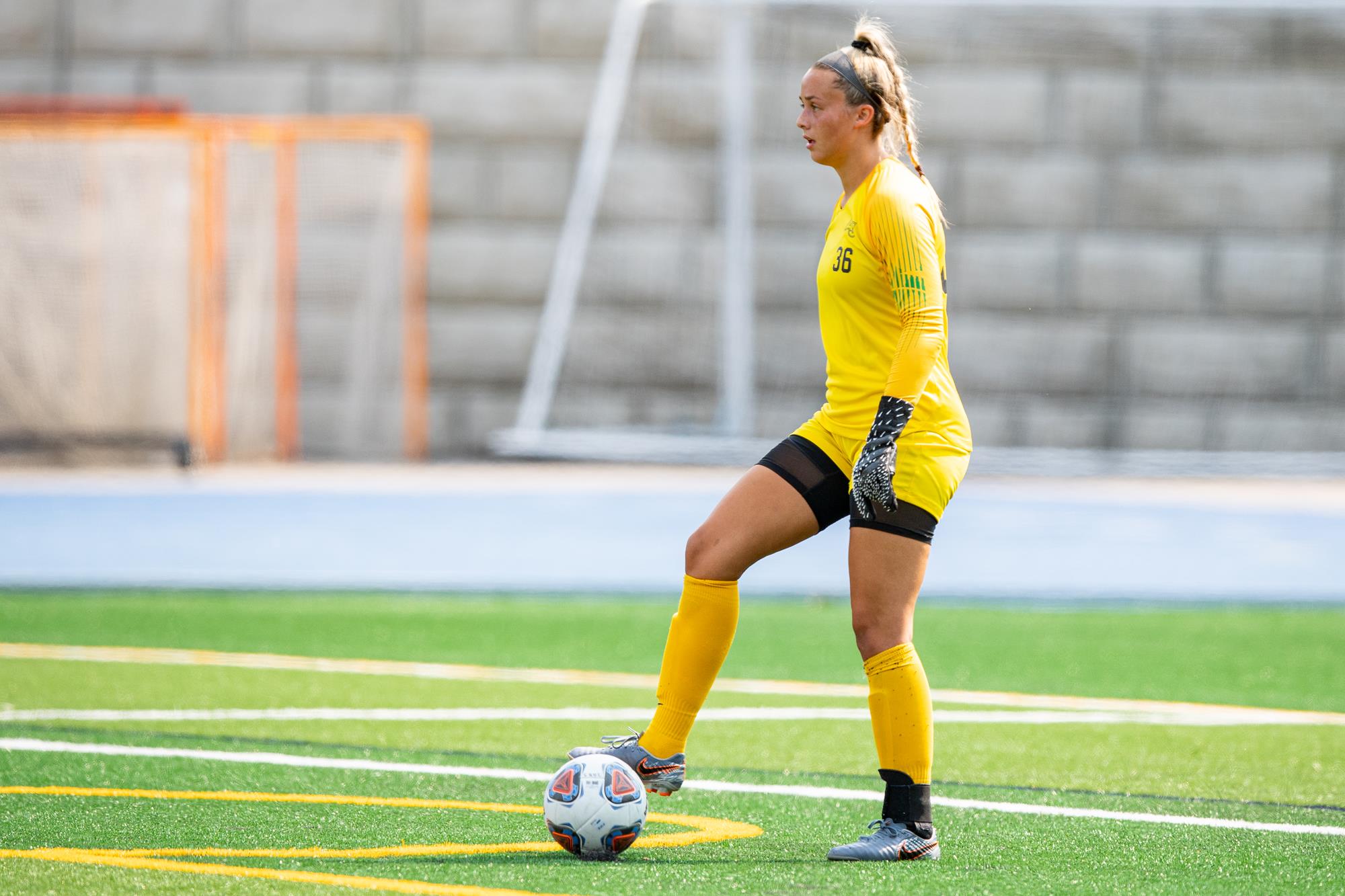 Krista Aliscio - Women's Soccer - Adelphi University Athletics
