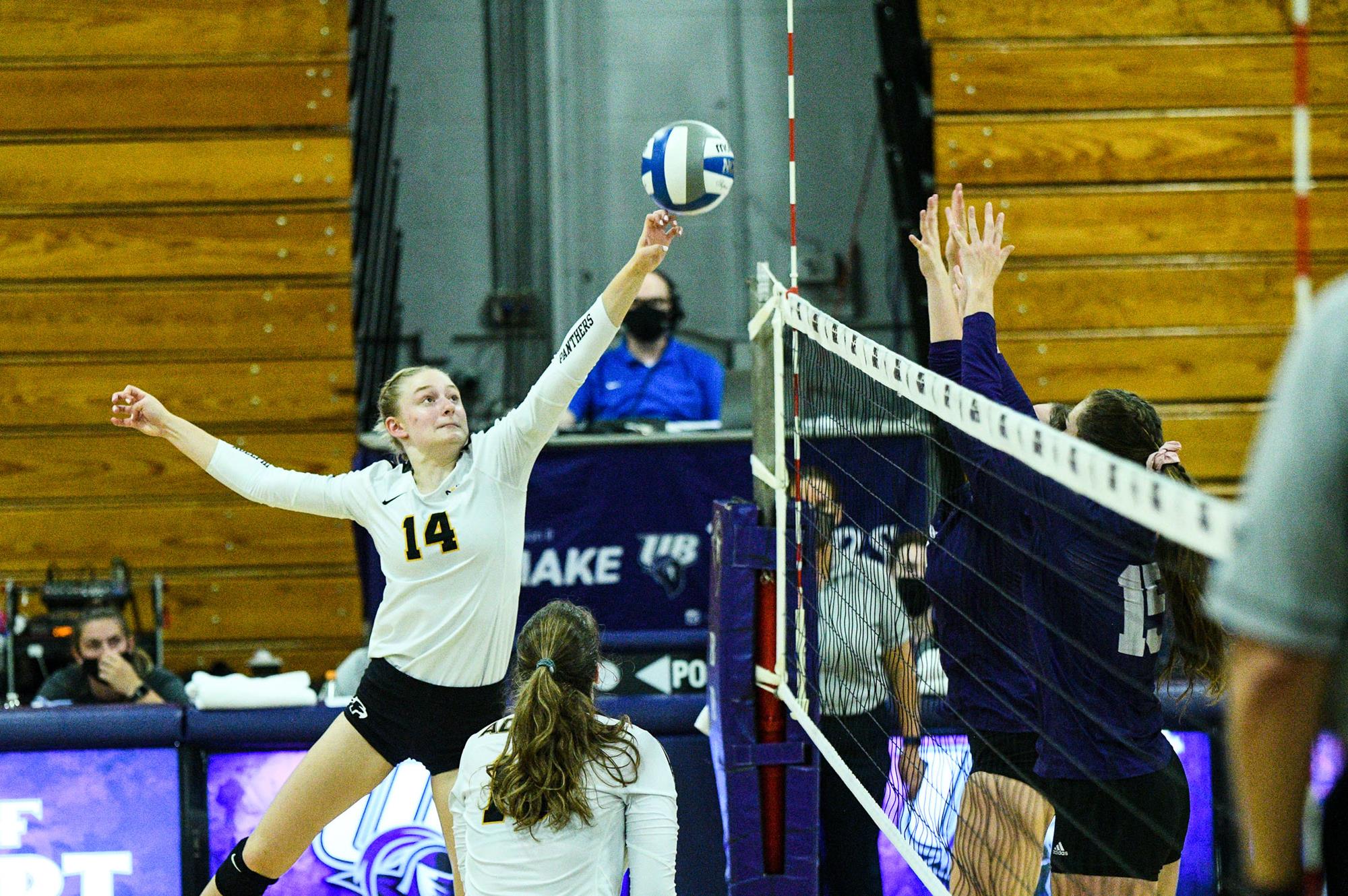 Trio Posts Season-Highs in Volleyball's 3-1 Win at New Haven - Adelphi University Athletics
