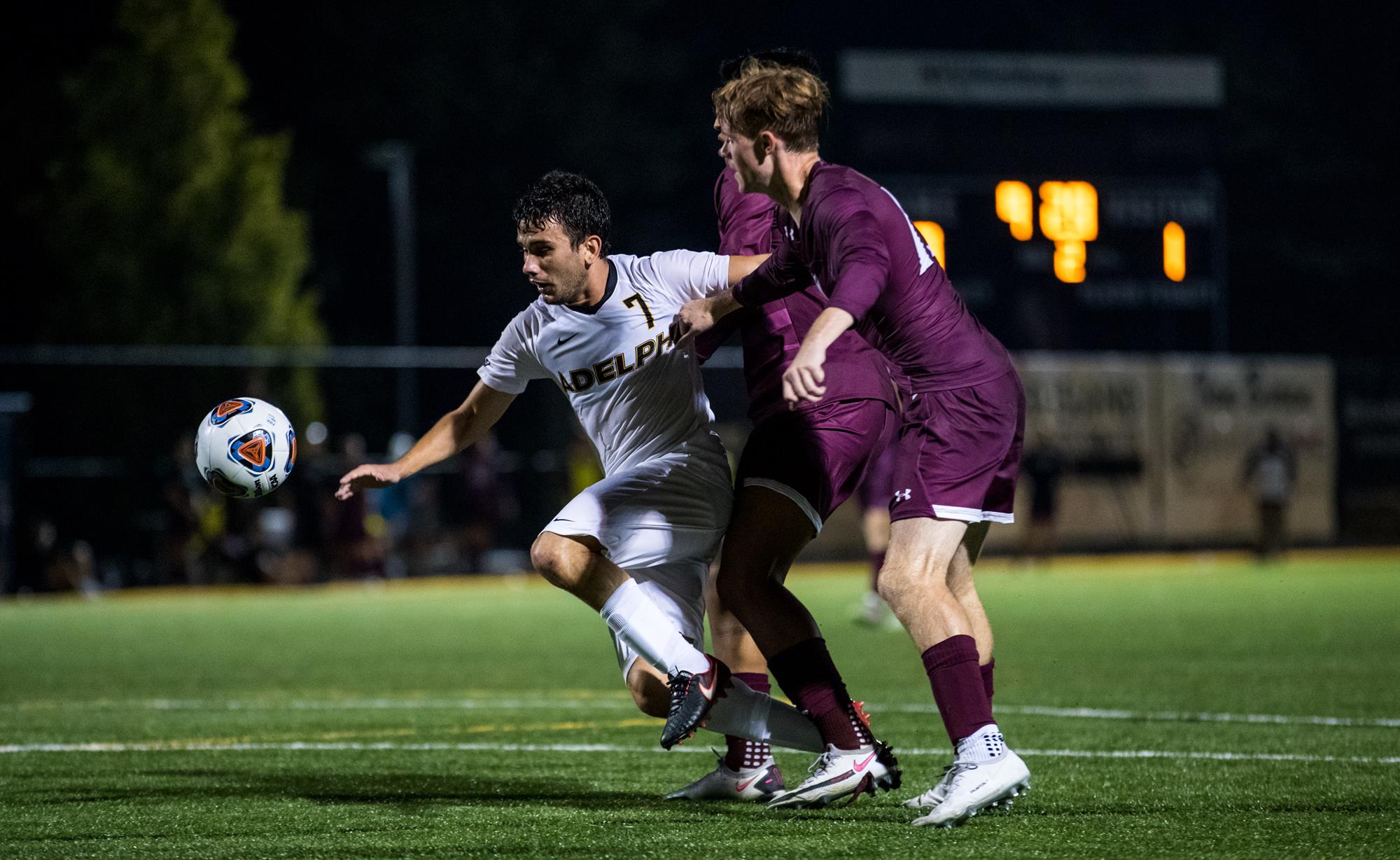 Paolo Marciano - Men's Soccer - Adelphi University Athletics