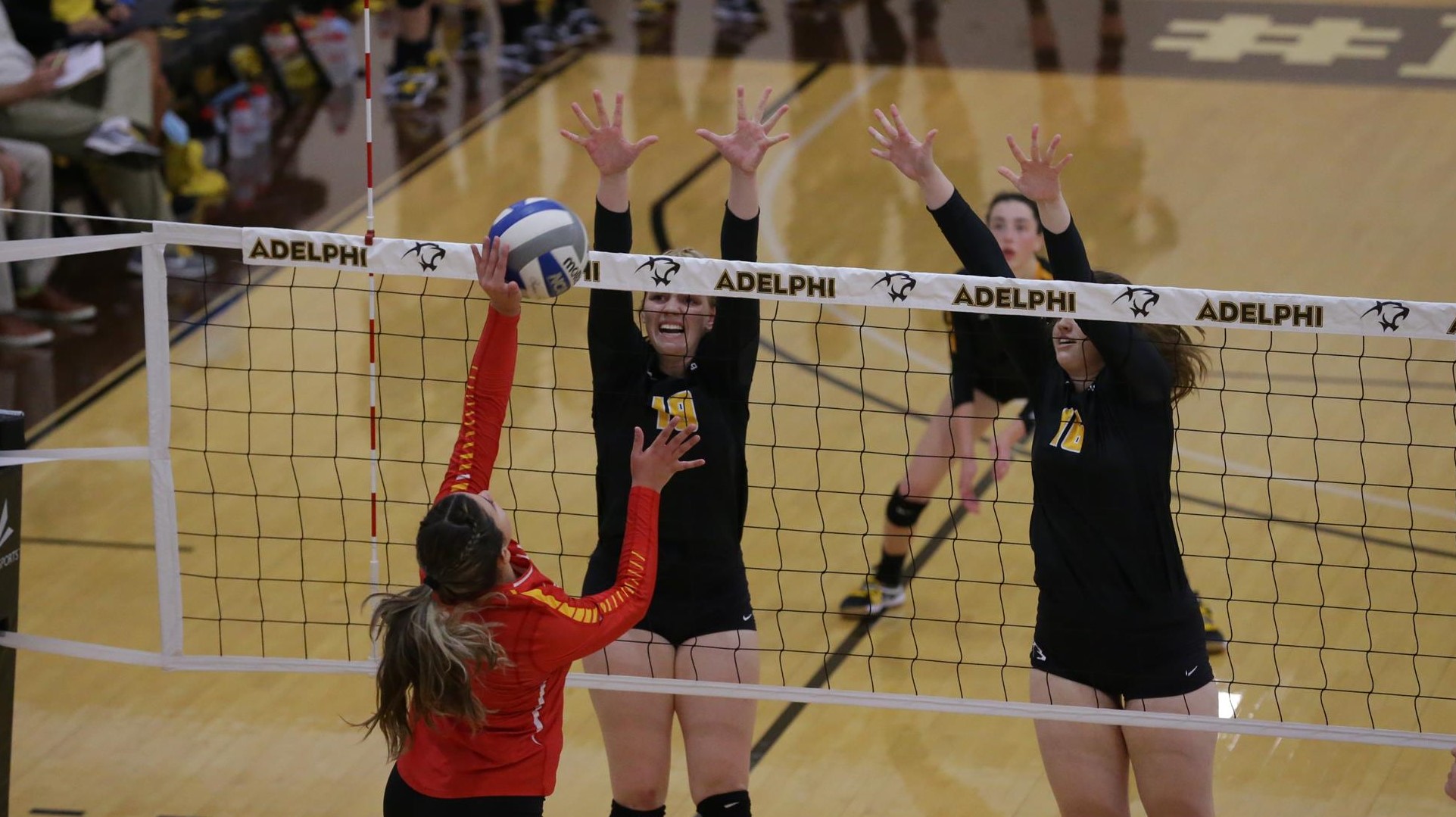Volleyball Takes Down Chestnut Hill in Home Opener, 3-0 - Adelphi ...