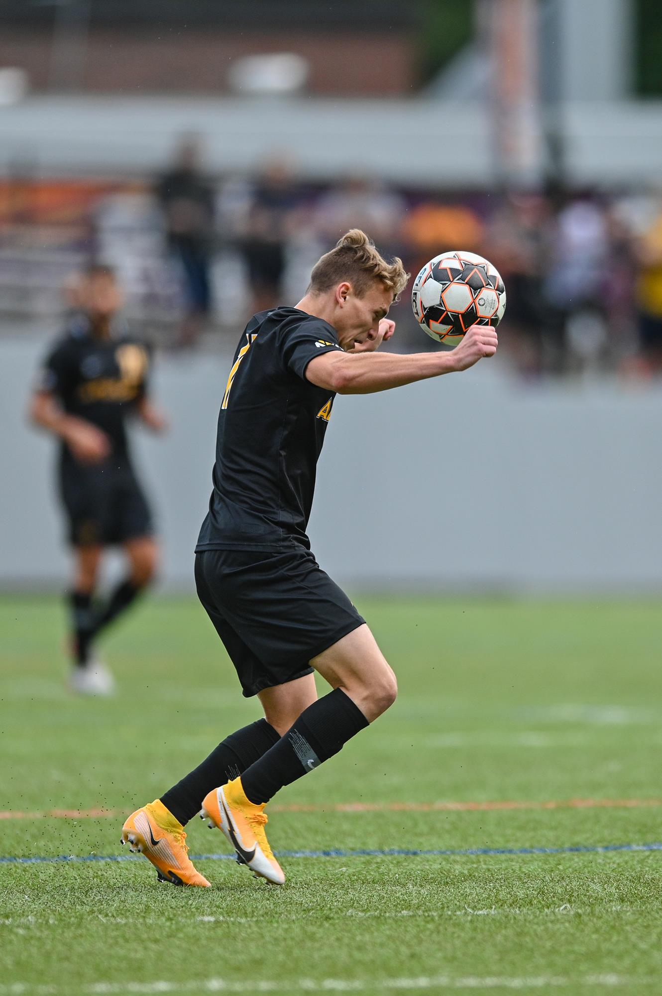 Christopher Friedlander - Men's Soccer - Adelphi University Athletics