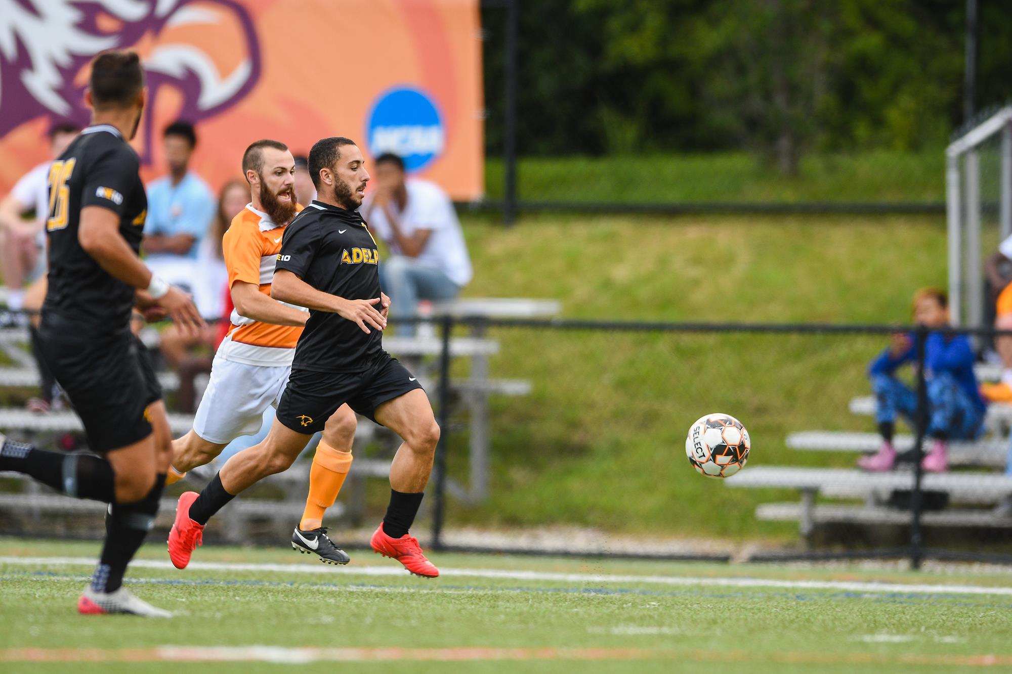 Francisco Greco - Men's Soccer - Adelphi University Athletics