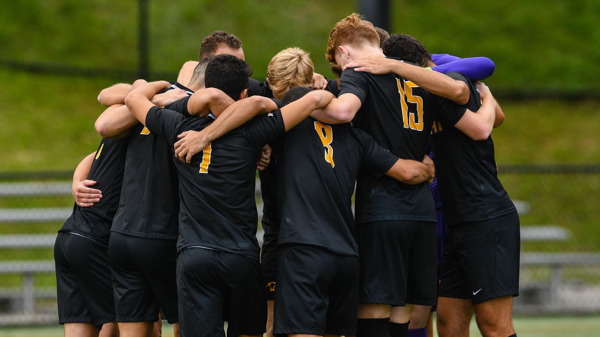 Men's Soccer Exits in NE10 Quarterfinals at SNHU, 1-0 - Adelphi ...