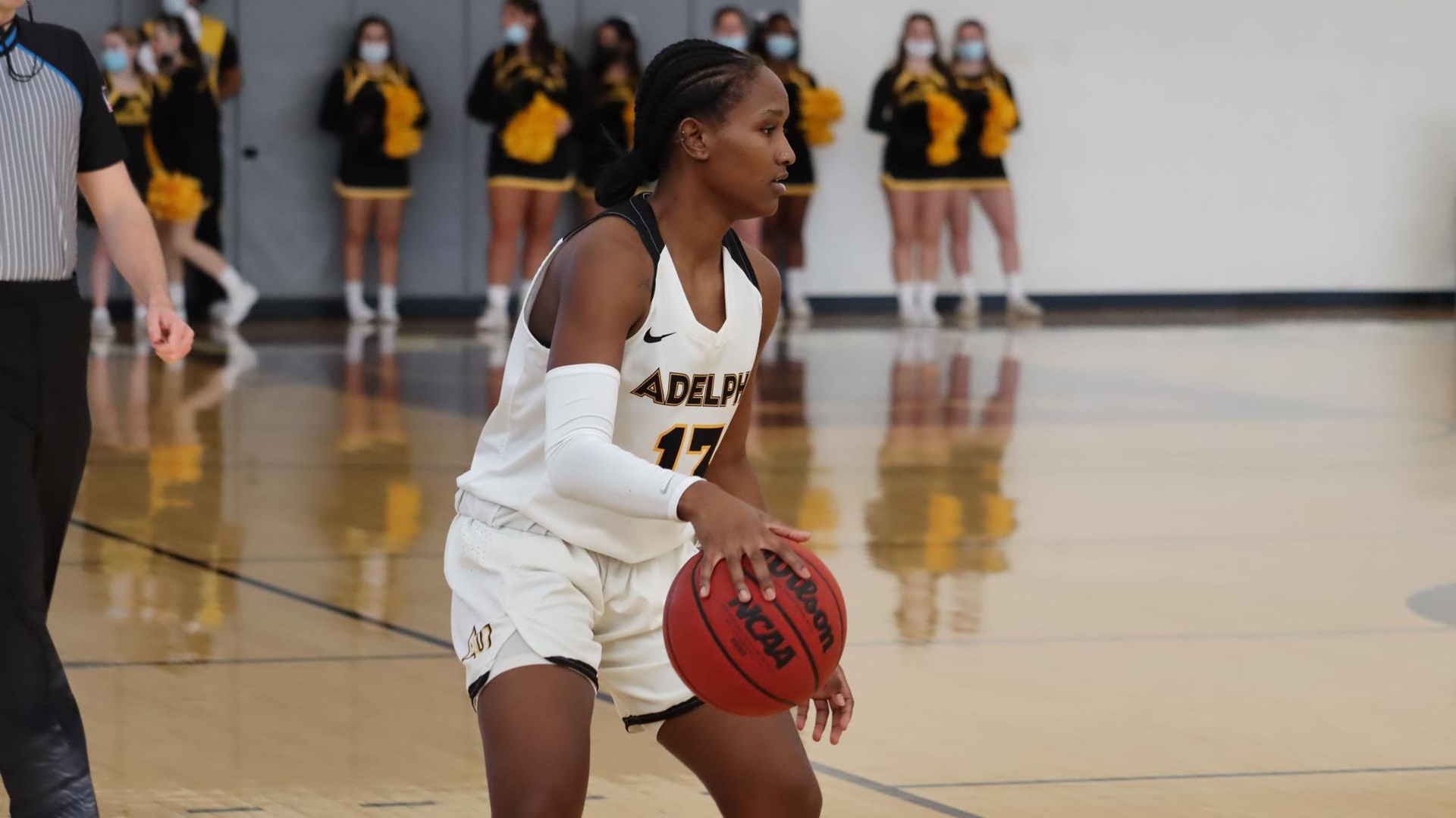 Hawkins' Pull-Up Seals 59-58 Victory for Women's Hoops at UNH - Adelphi ...
