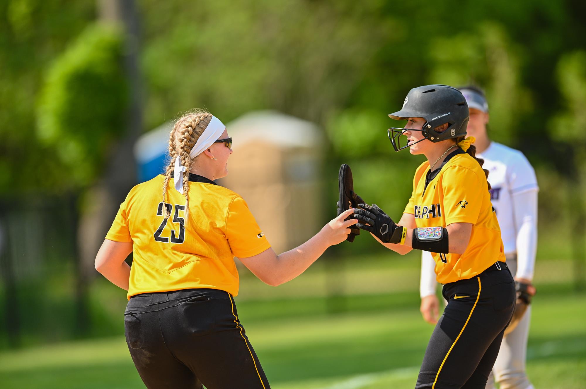 Sophia Cicchetti - Softball - Adelphi University Athletics