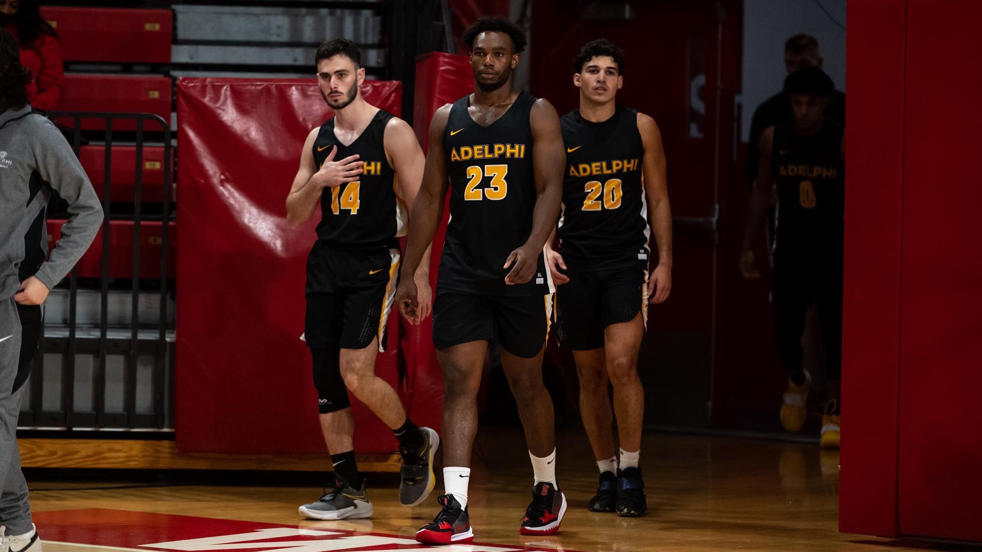 Niv Rozenholtz - Men's Basketball - Adelphi University Athletics