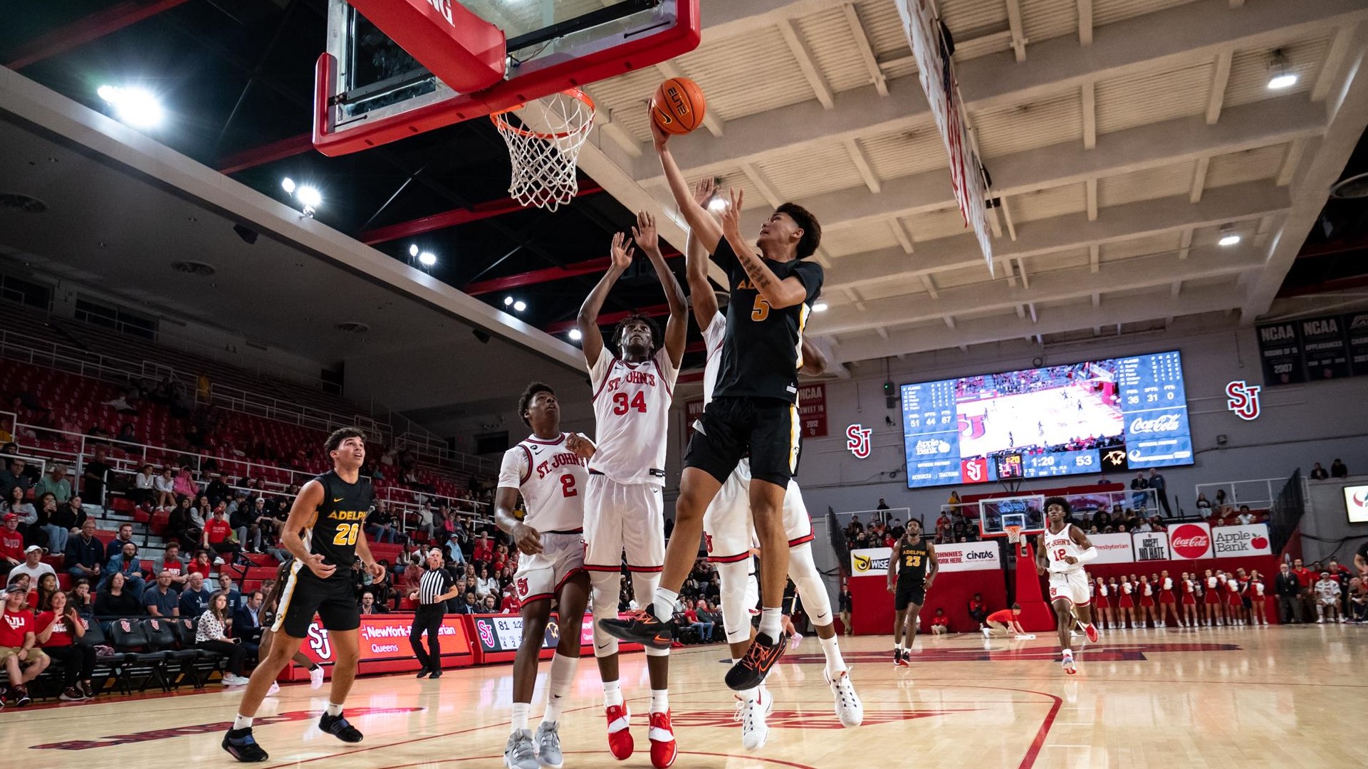 Kunga Tsering - Men's Basketball - Adelphi University Athletics