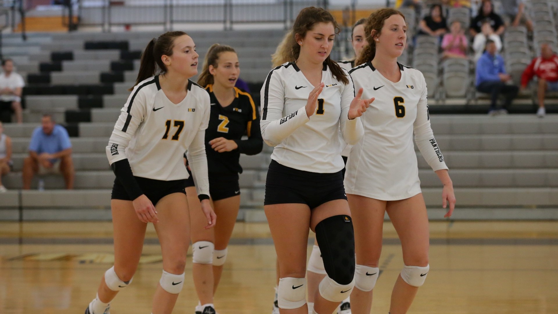 Volleyball Ousts Assumption 3-0 On Spirit Weekend - Adelphi University ...