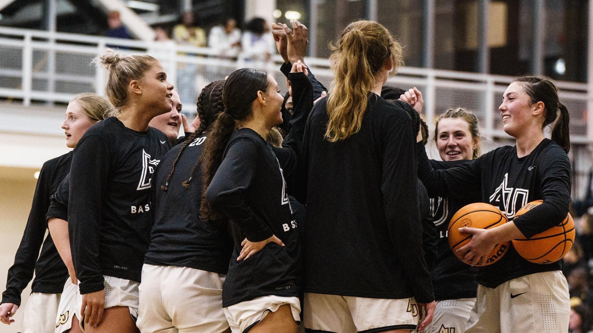 Women's Basketball Tips Off NE10 Play With 75-54 Loss at New Haven - Adelphi University Athletics