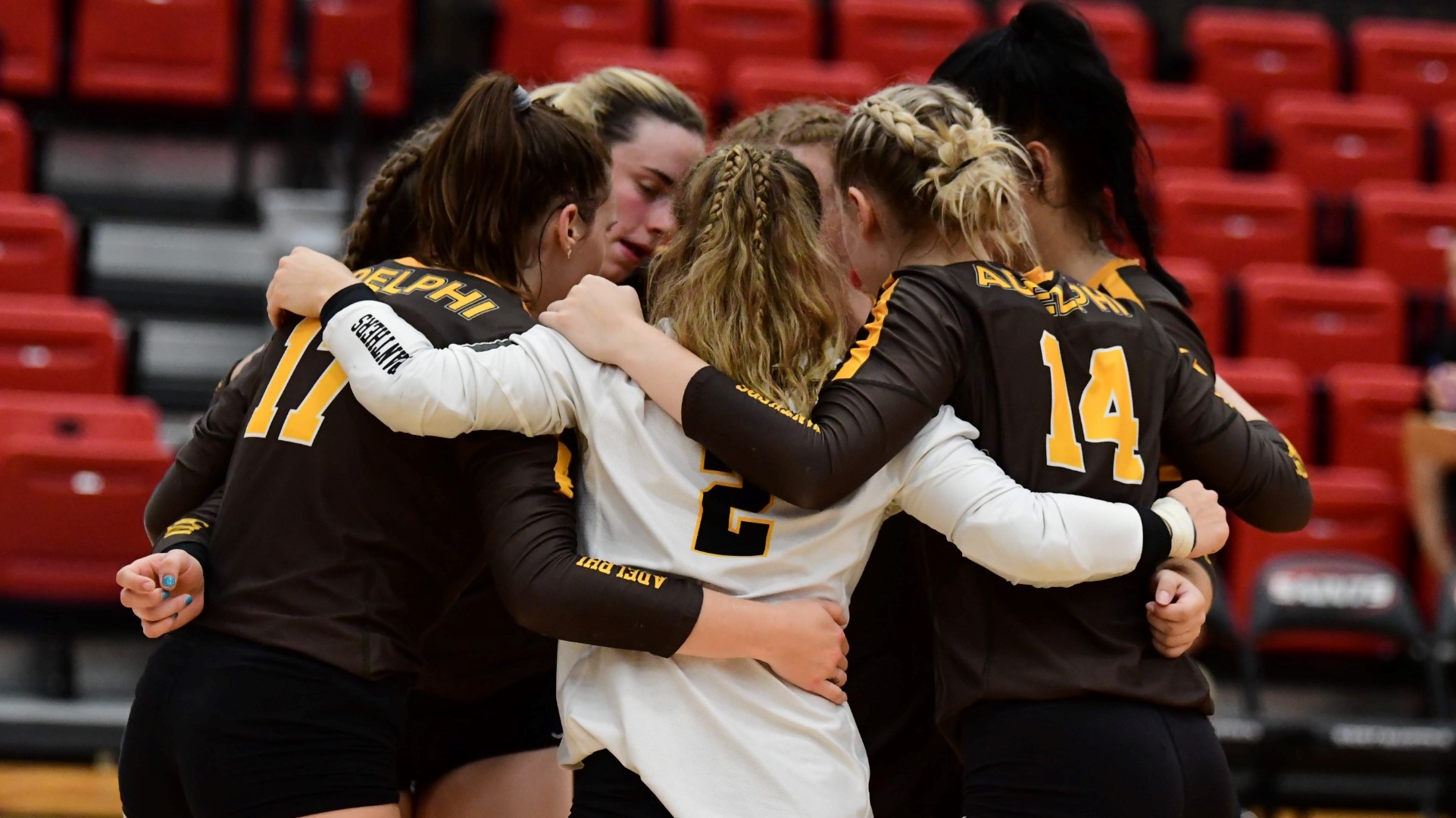 Volleyball Dropped in Regular Season Finale at Bentley, 3-1 - Adelphi University Athletics