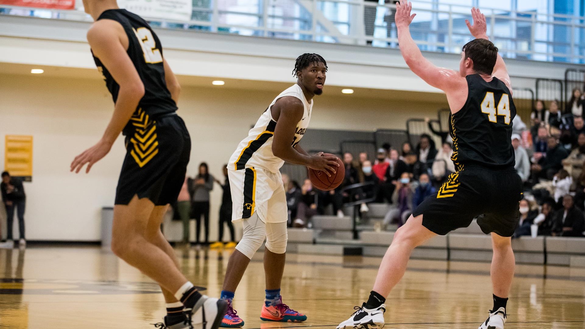 Adonis Williams - Men's Basketball - Adelphi University Athletics