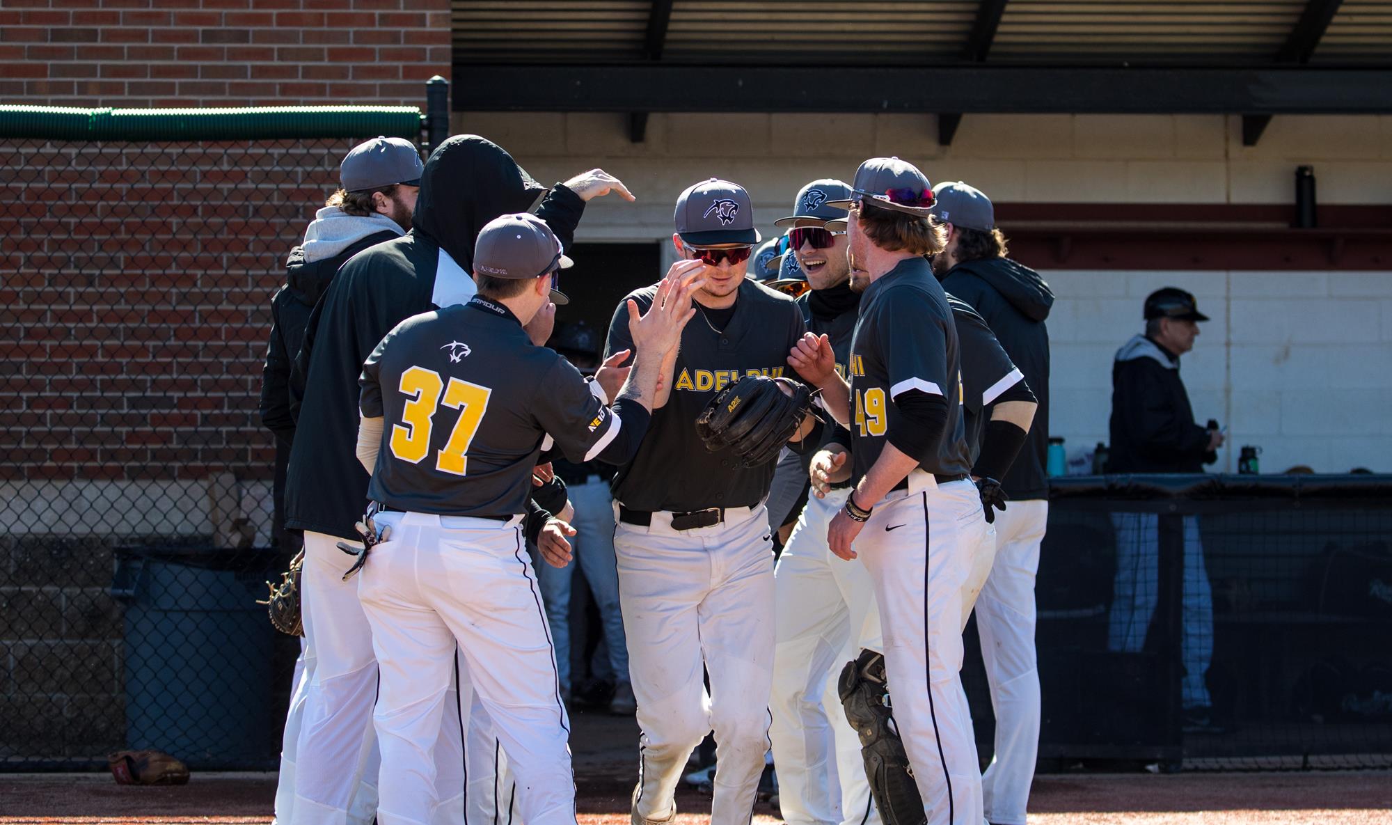 Matt Alifano - Baseball - Adelphi University Athletics