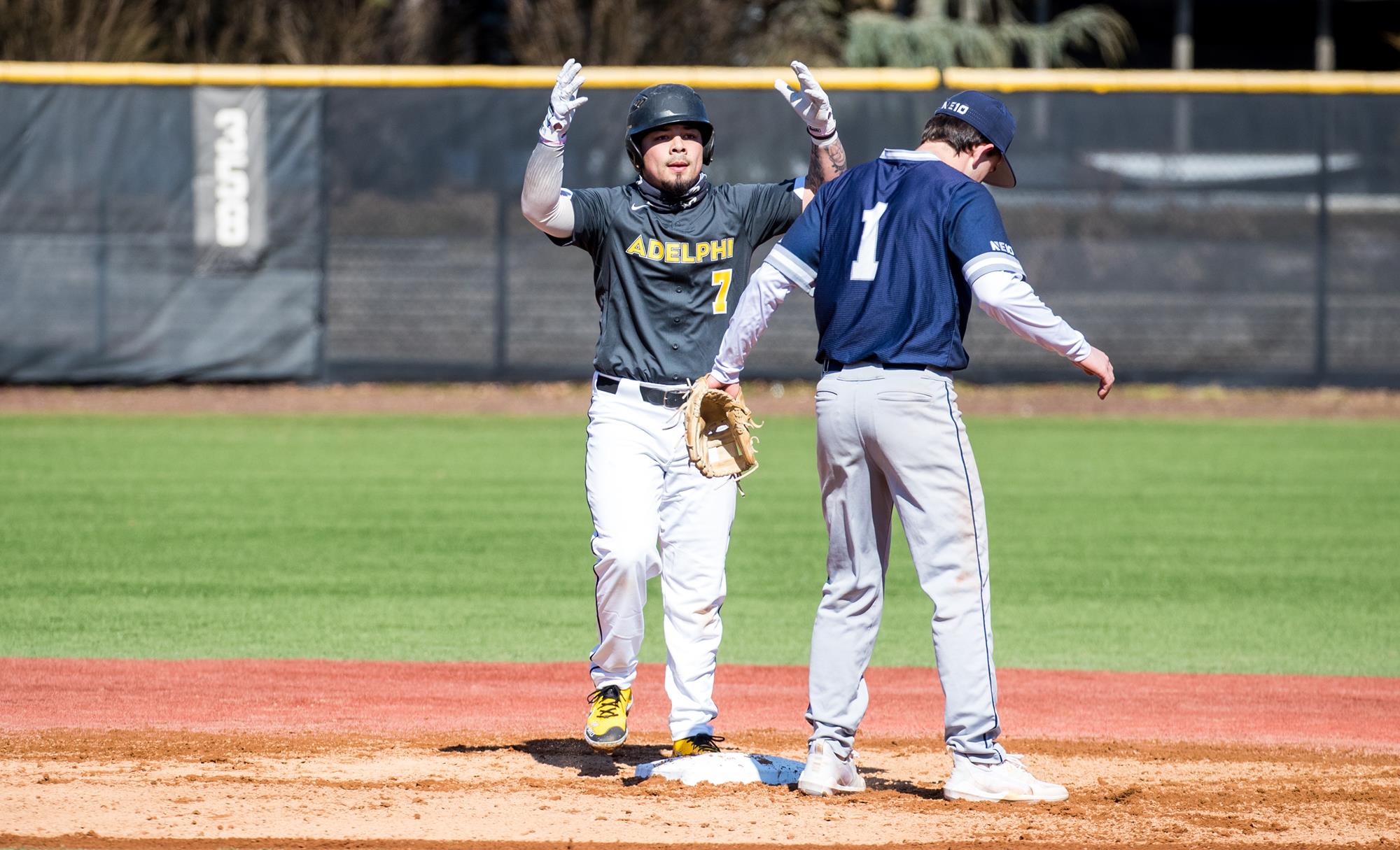Cooper Johnson - Baseball - Adelphi University Athletics