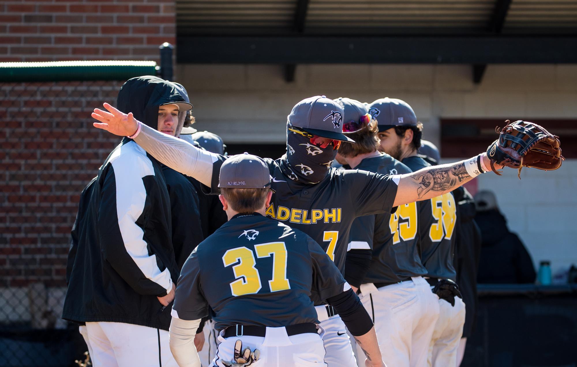 Cooper Johnson - Baseball - Adelphi University Athletics