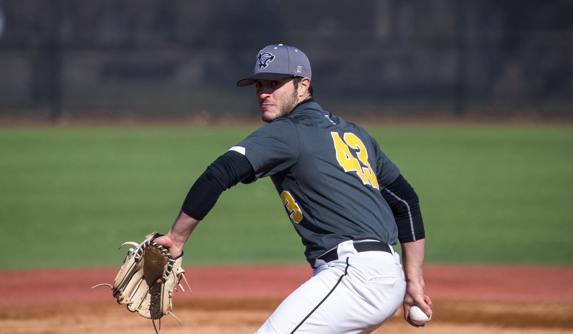 Nicolas Luc - Baseball - Adelphi University Athletics