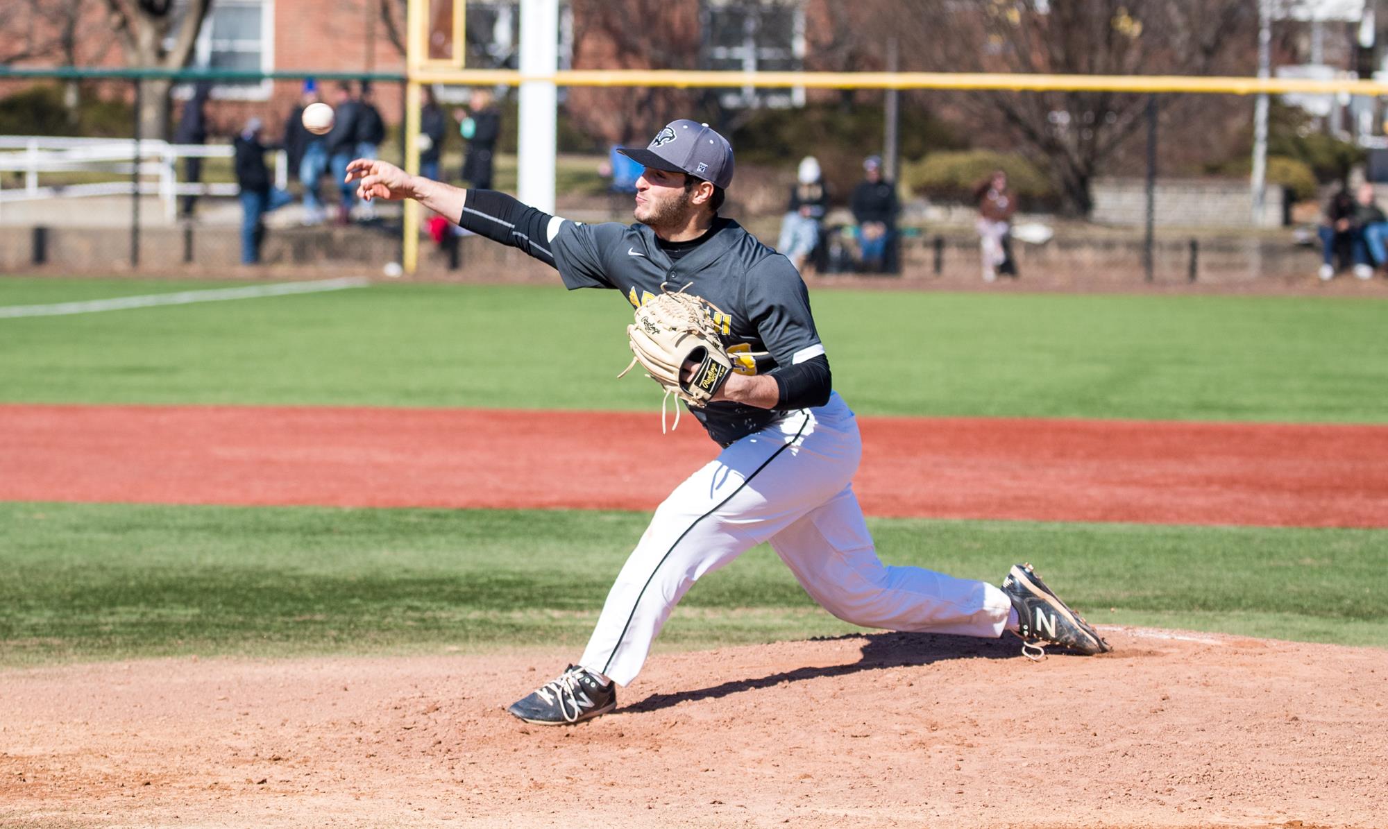 Nicolas Luc - Baseball - Adelphi University Athletics